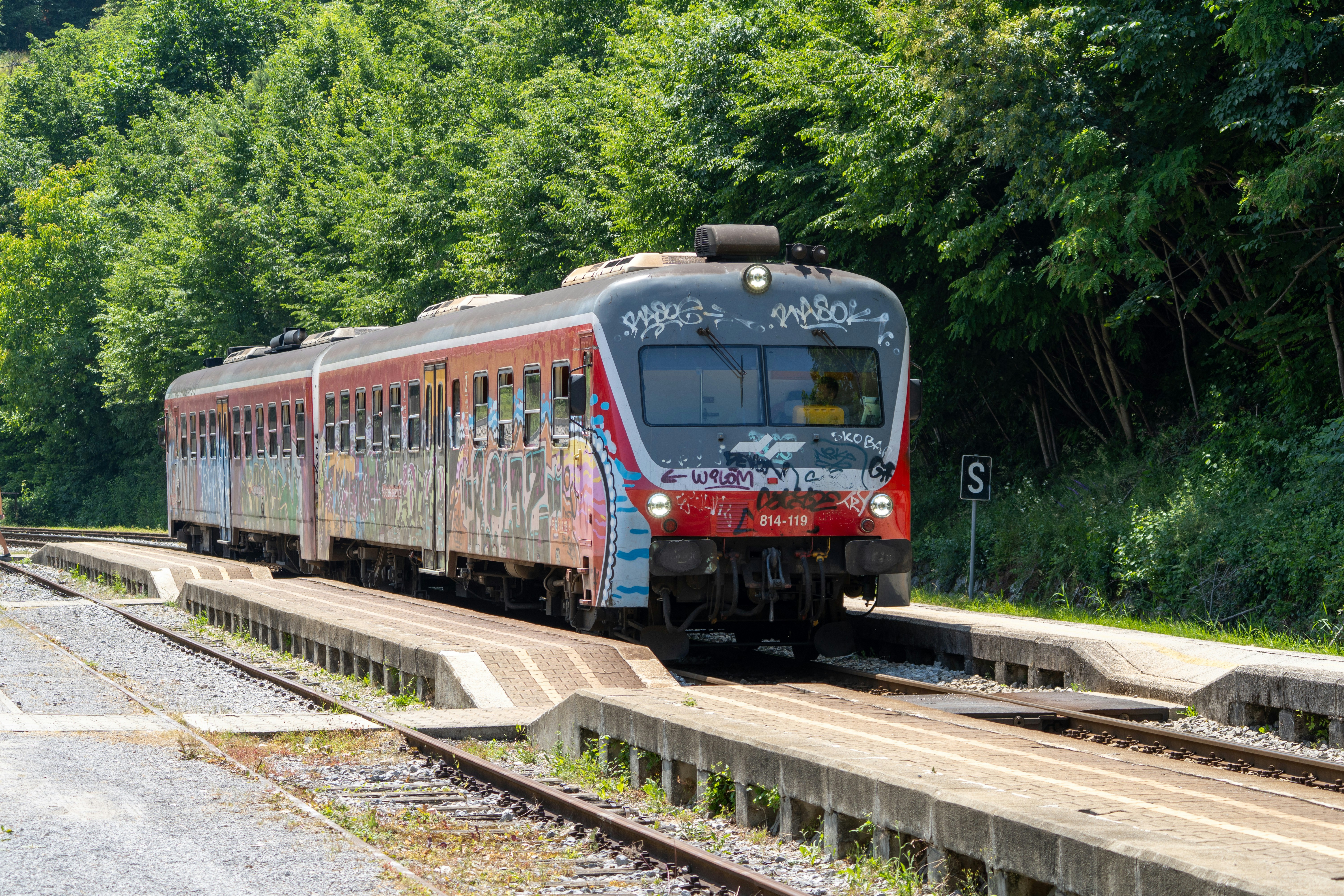 A graffiti-covered train arrives at a quiet station near Bled, Slovenia, where urban street art meets the peaceful charm of alpine nature. Surrounded by lush greenery, the scene captures a raw, contrasting beauty between motion and stillness. | A graffiti-covered train travels through a forest.