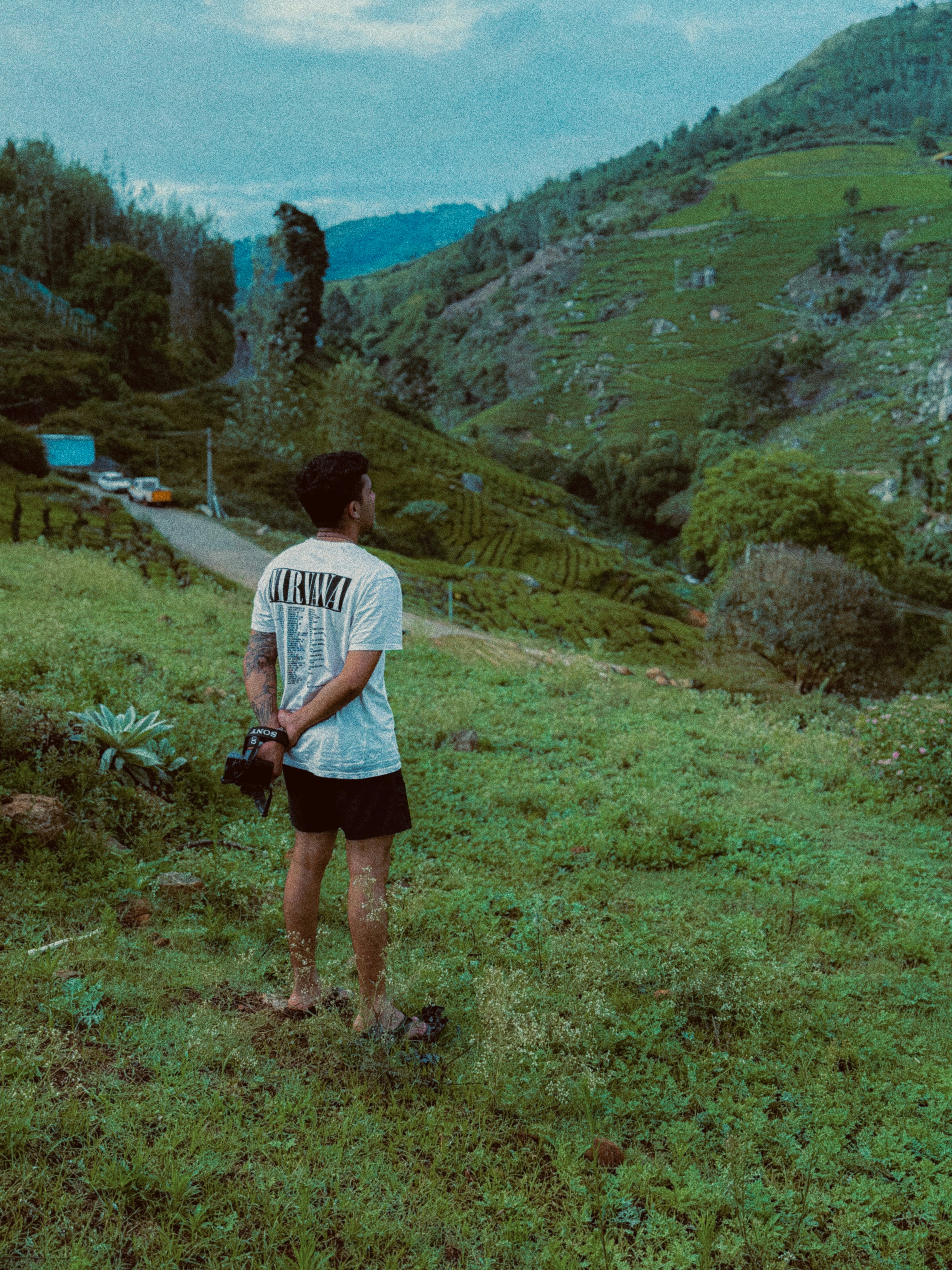 A Quiet Moment Amidst the Rolling Green Hills