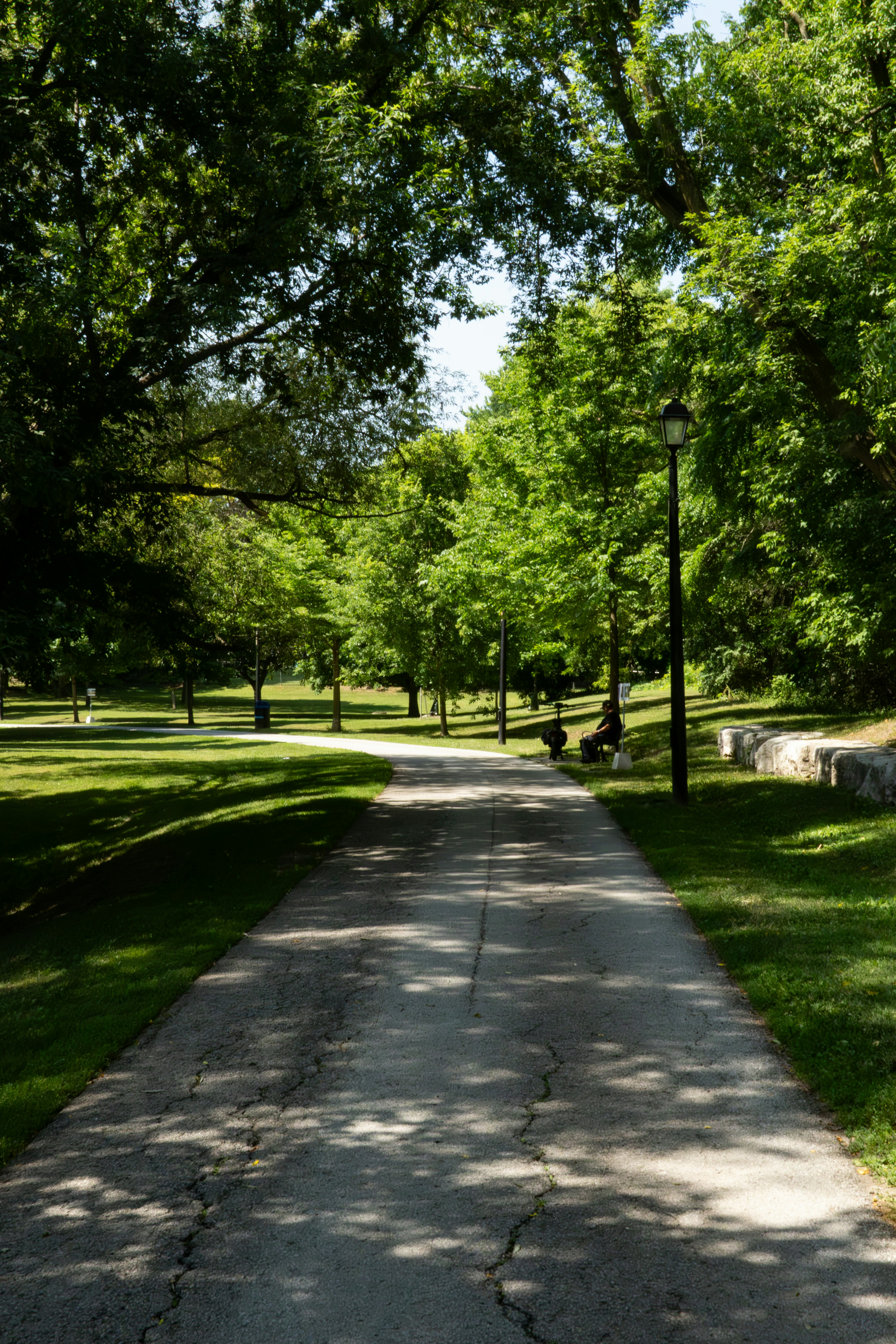 A shot of a trail walkway | A shaded path leads through a lush green park.