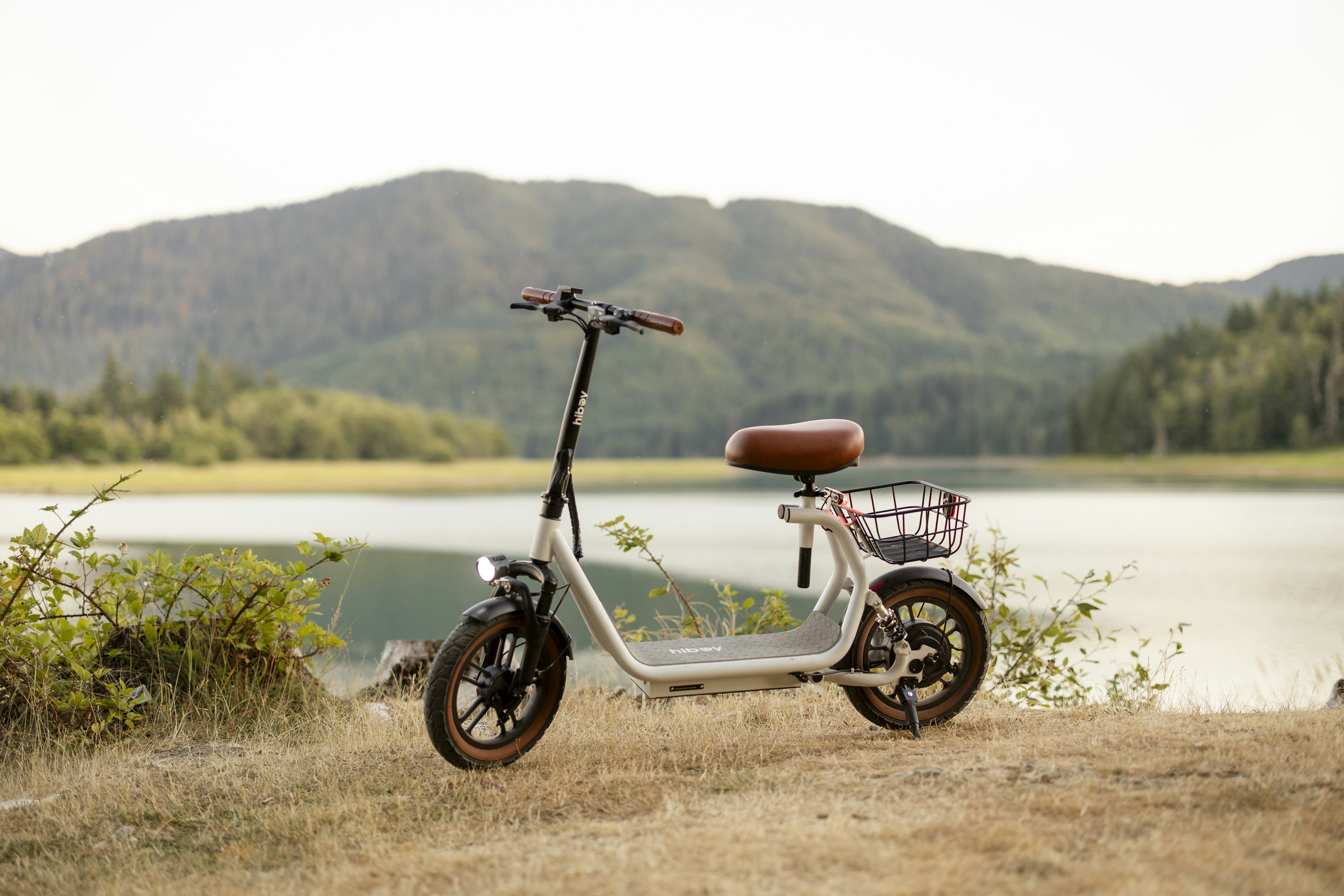 Silent red-brown commuter resting beside a tranquil lake