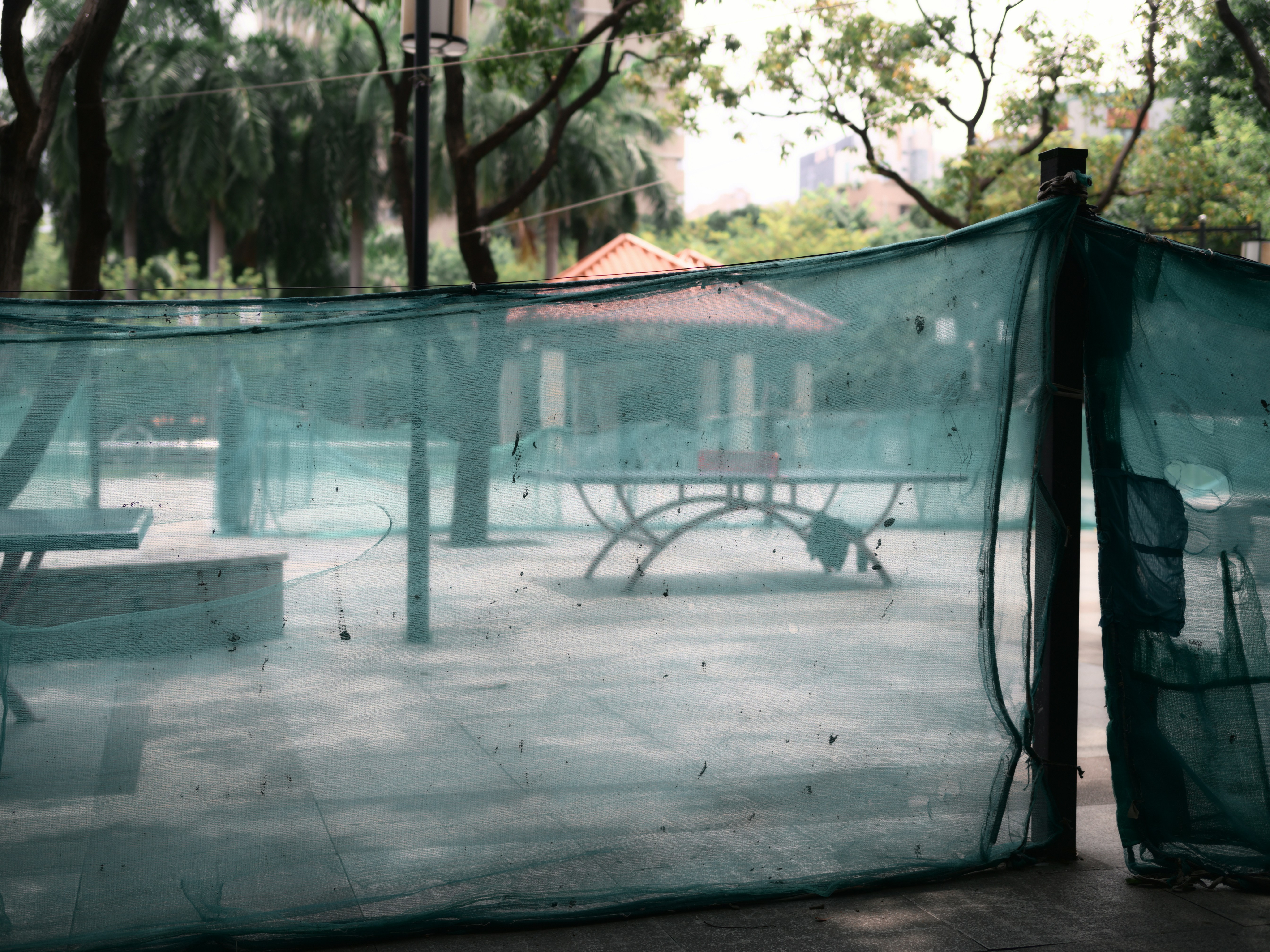 Veil of Serenity: A Park's Hidden Essence