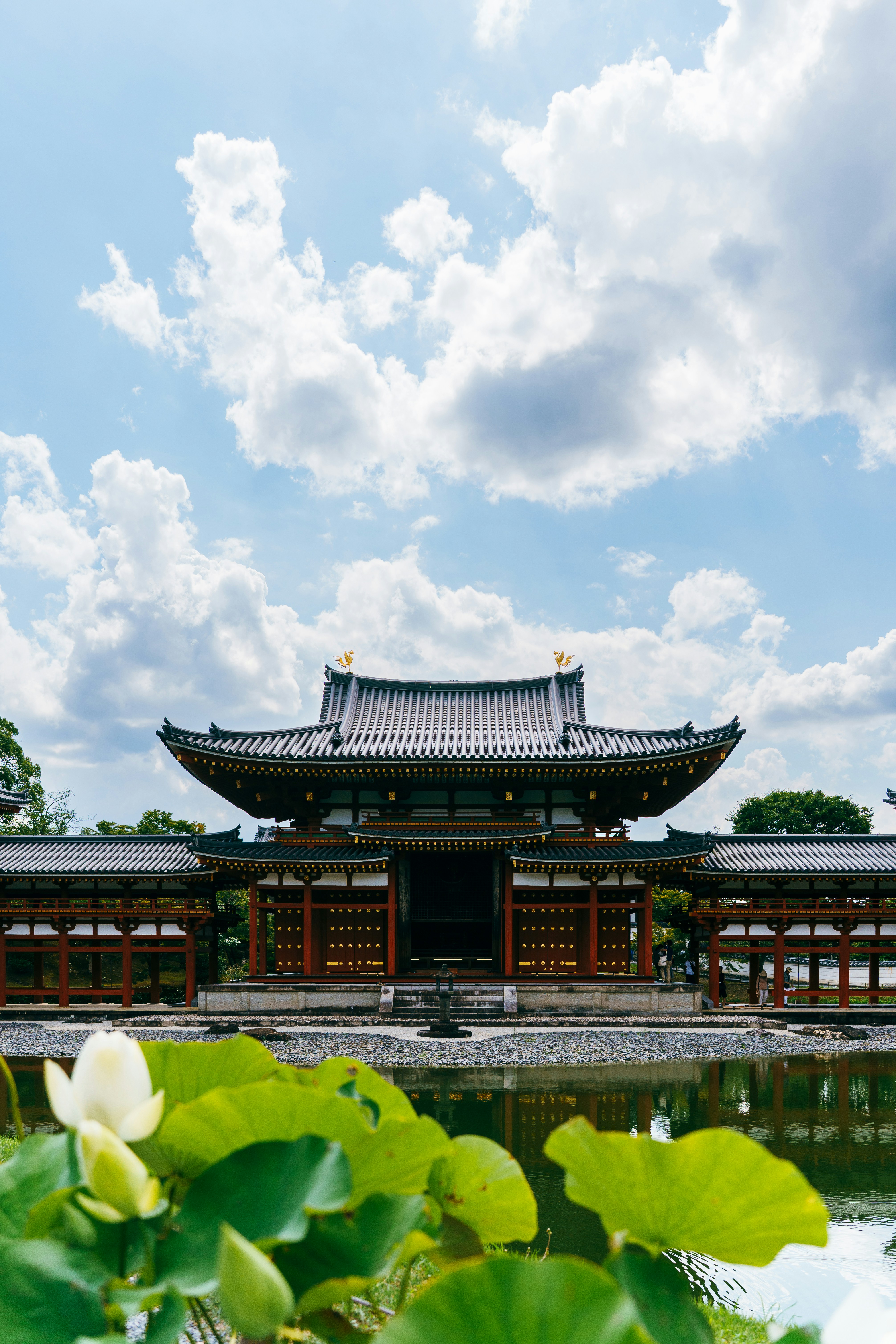 Traditional Japanese architecture reflected in a serene pond, framed by vibrant lotus flowers in the foreground.