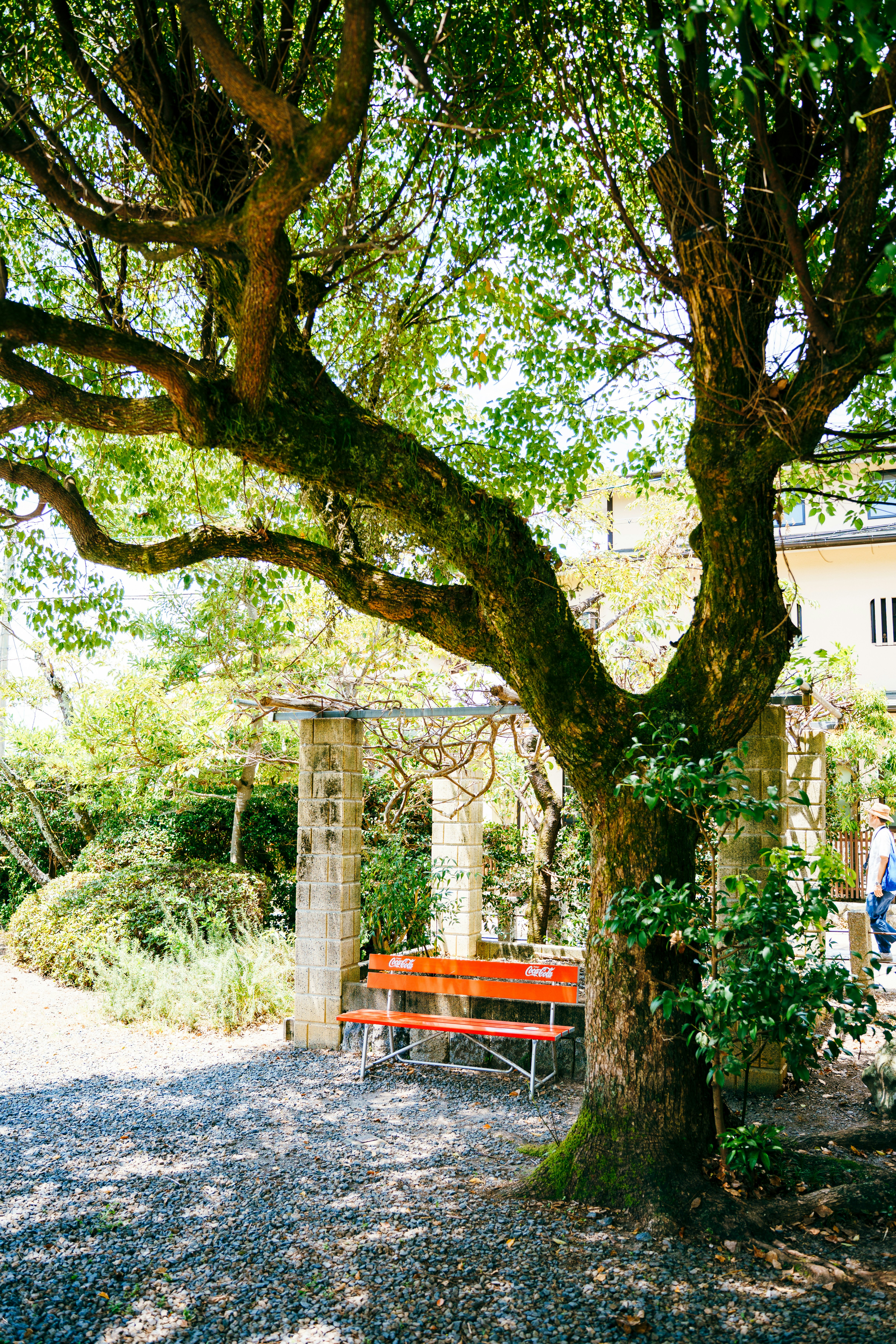 A tree shades a red bench in a garden.