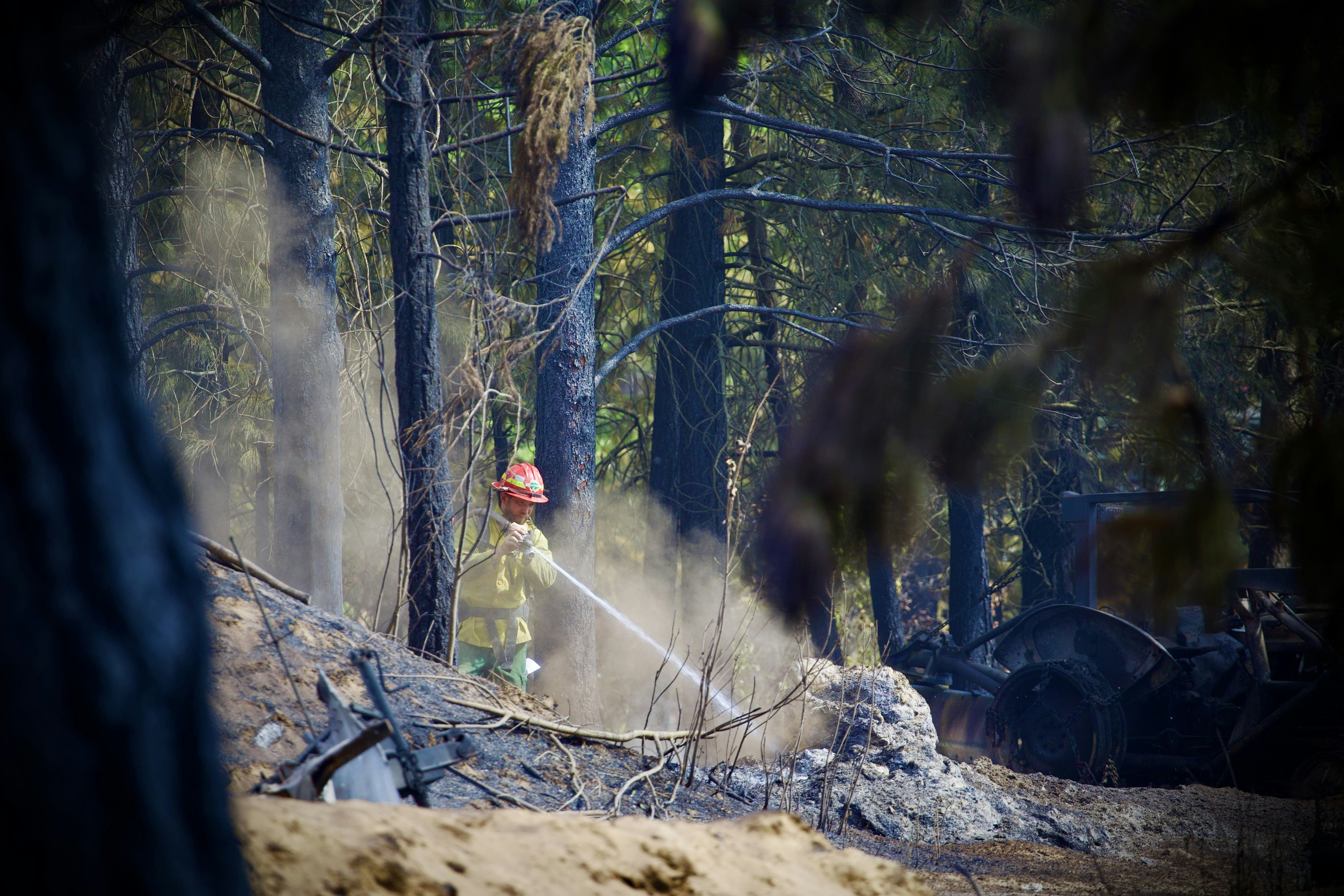 Firefighter battling a blaze in a smoke-filled forest, showcasing determination and resilience. The scene captures the struggle against nature's fury.