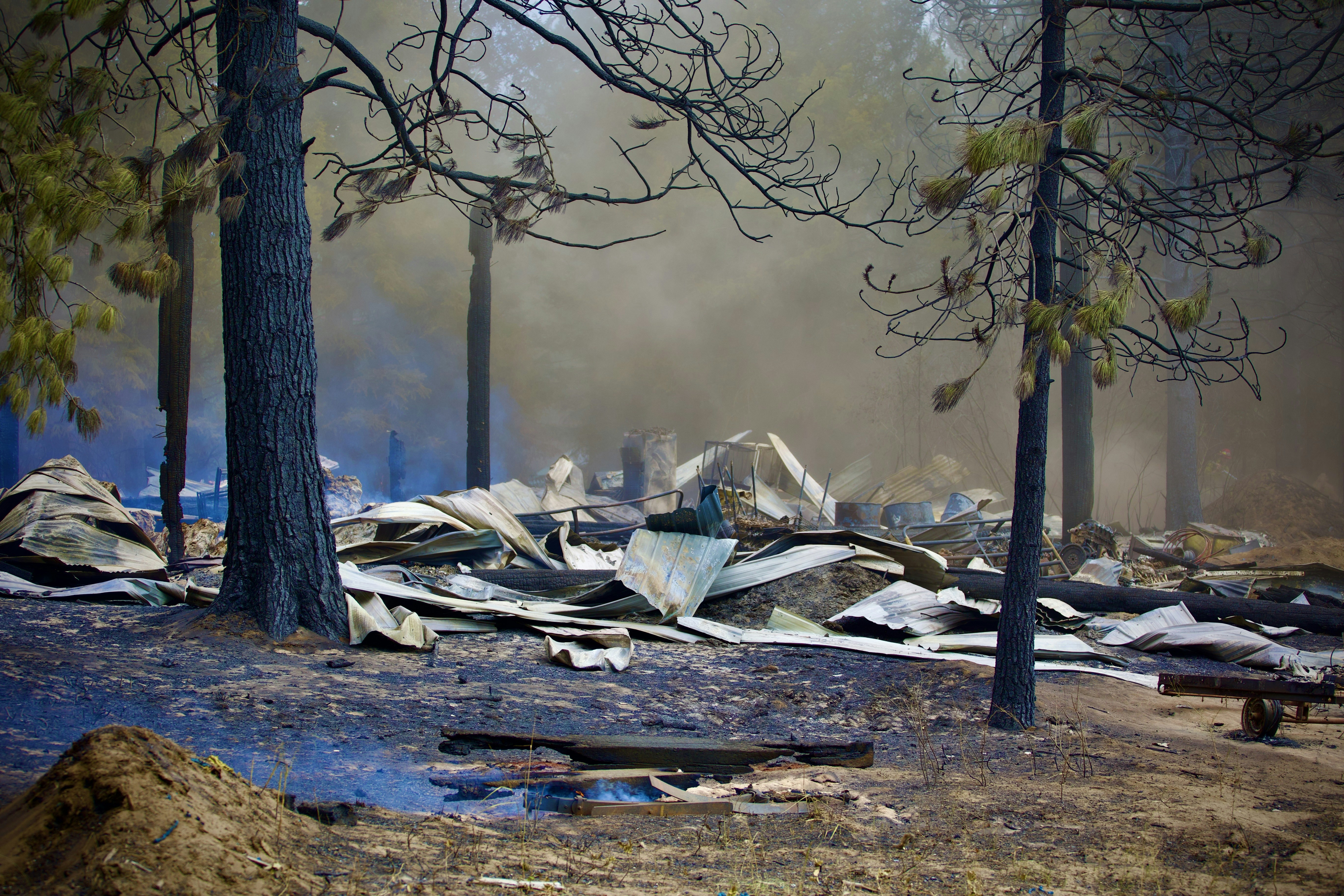 A forest fire left behind destruction and smoke.