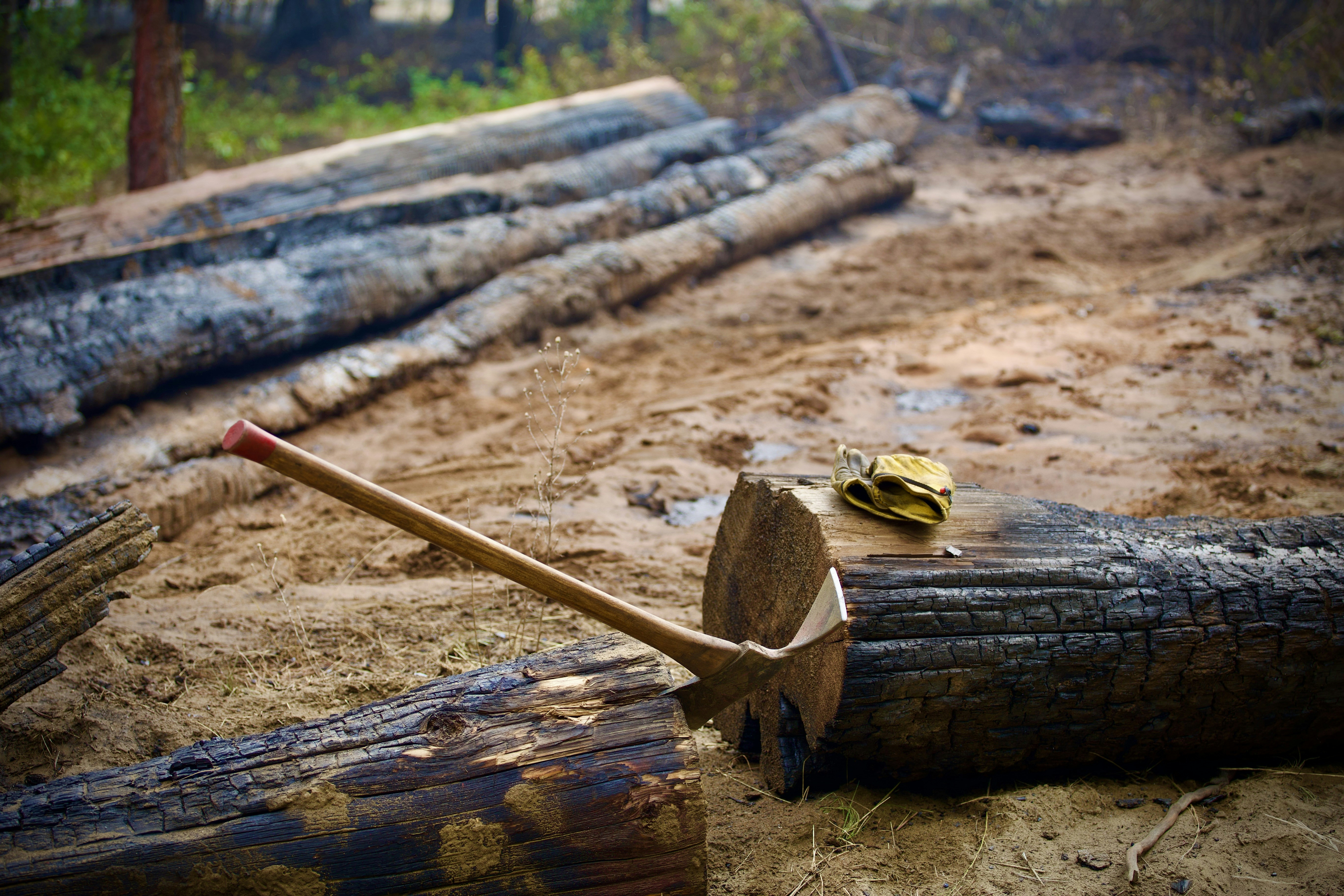 Echoes of Labor: The Timberman's Tools