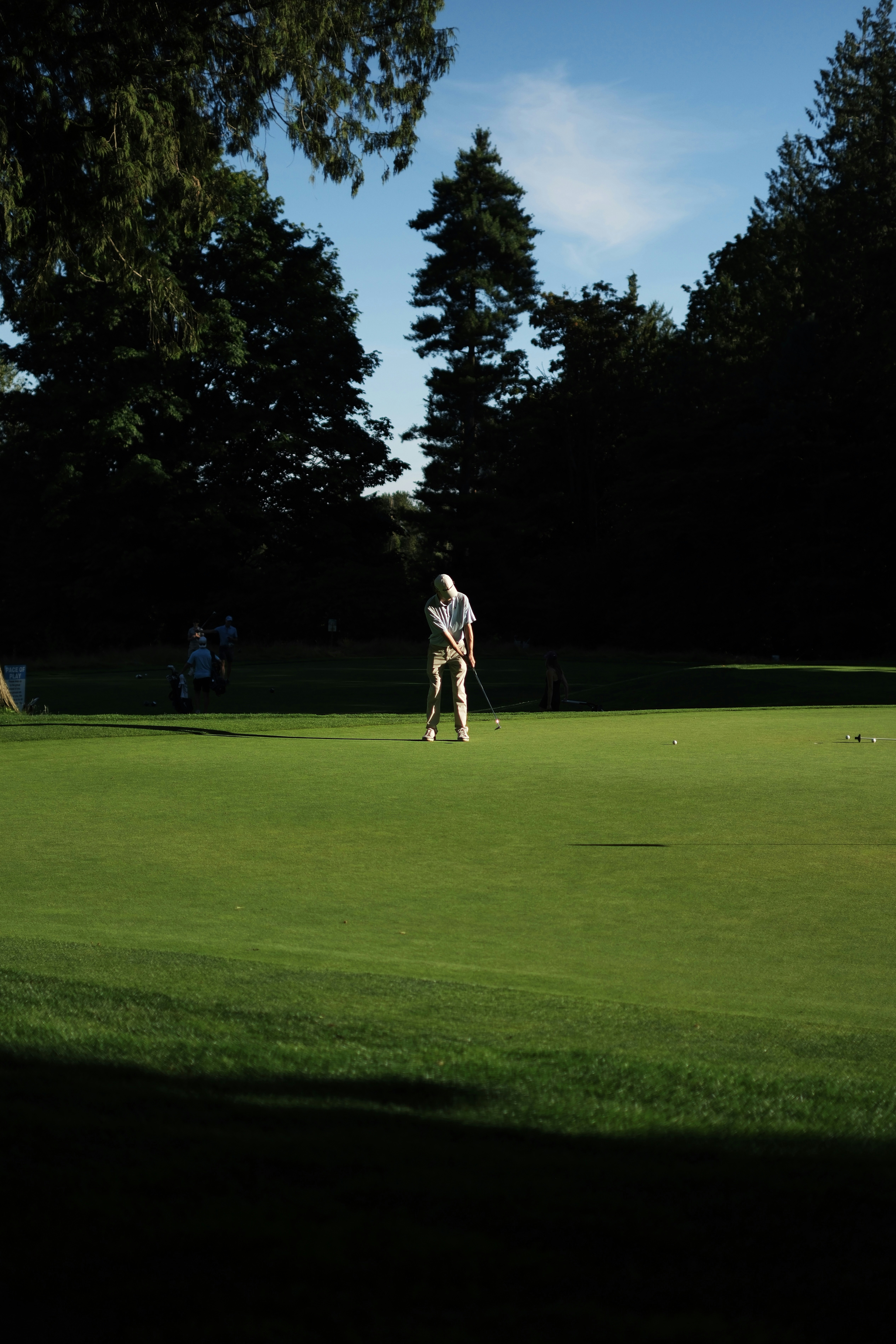 Precision on the Green: A Golfer's Moment