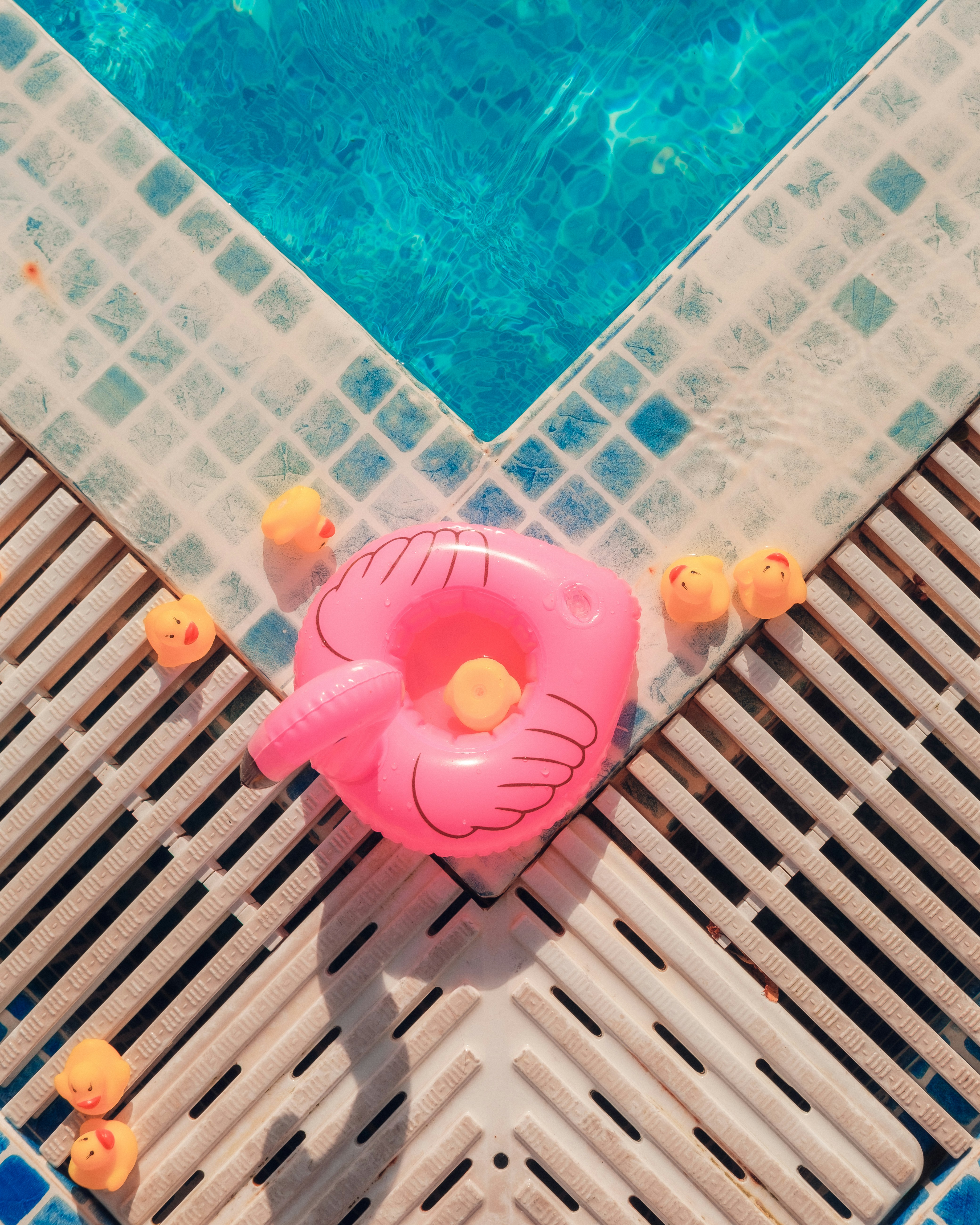 Rubber ducks and a pink floaty near the pool. photo – Free Wallpaper ...