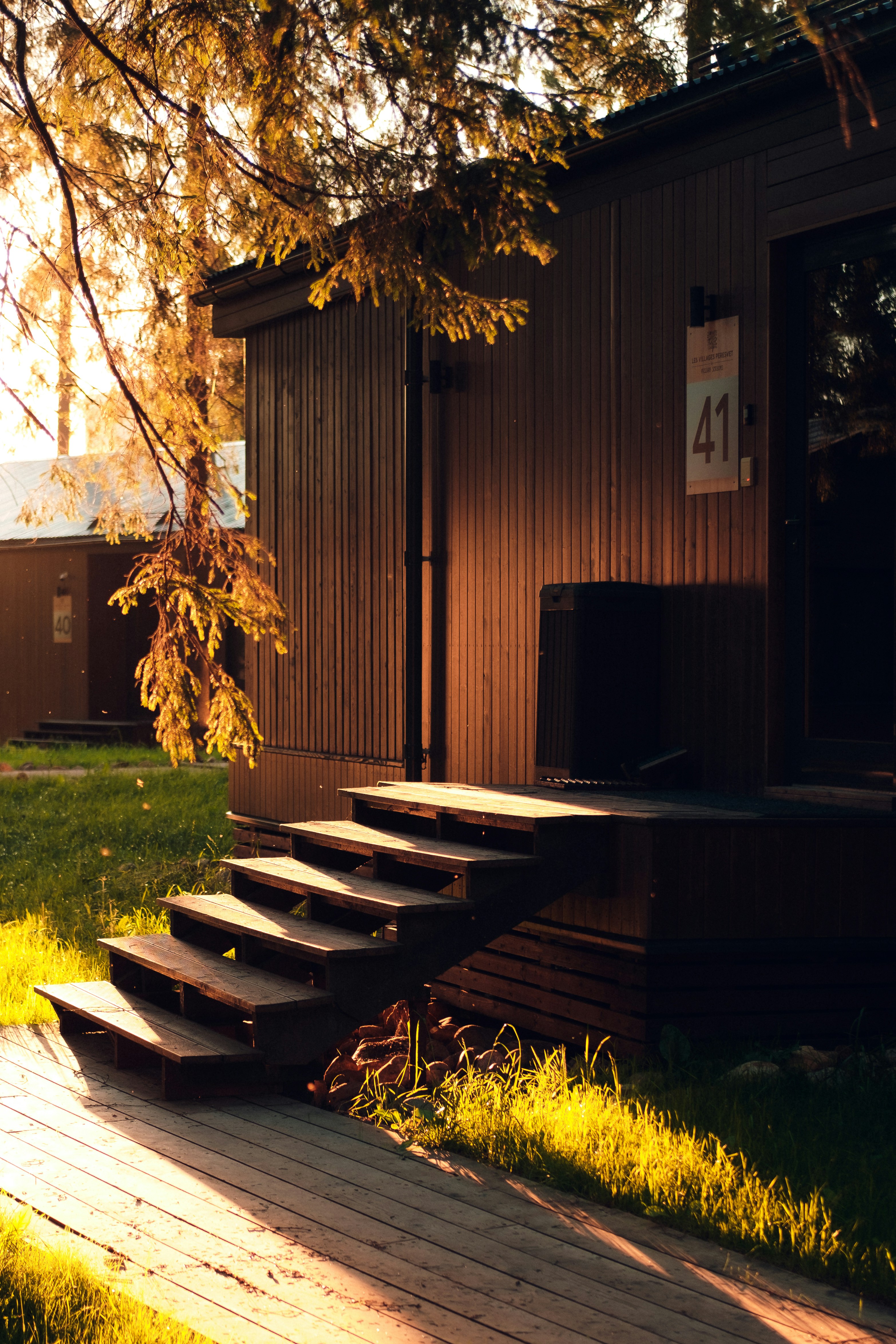 Whispers of Evening Light