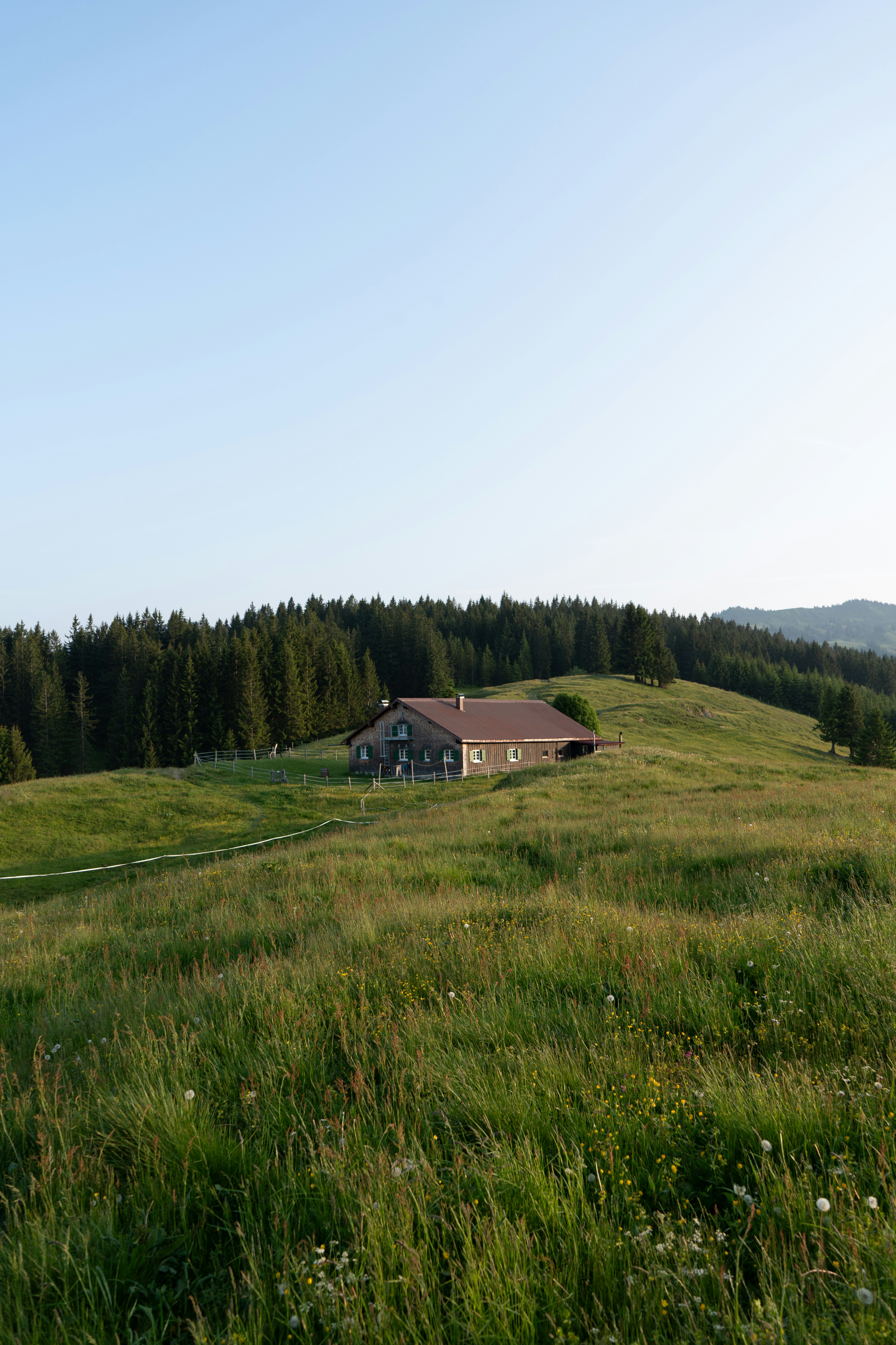 Whispers of the Countryside: A Serene Homestead