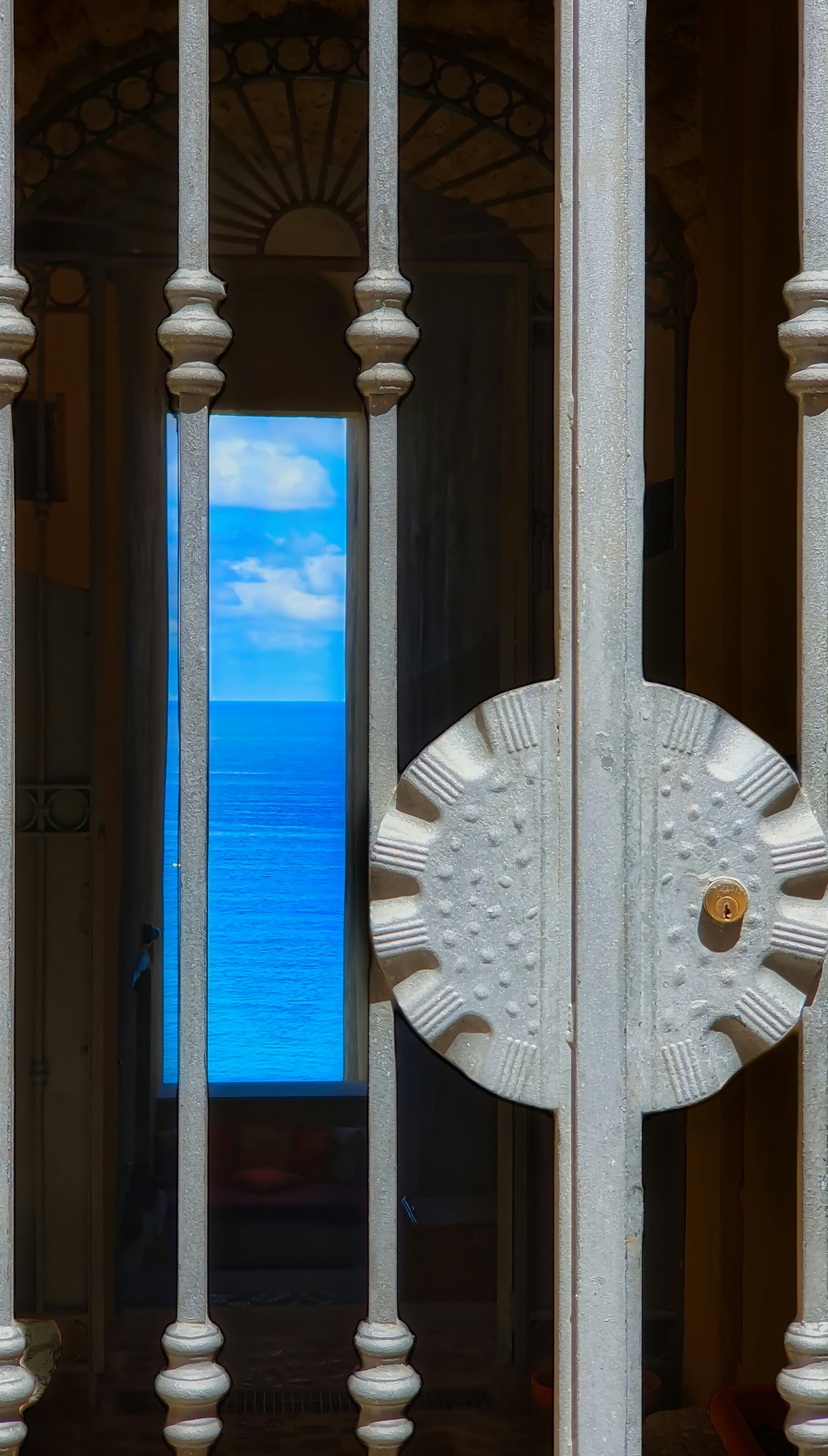 Through the Iron Bars: A Glimpse of Serenity