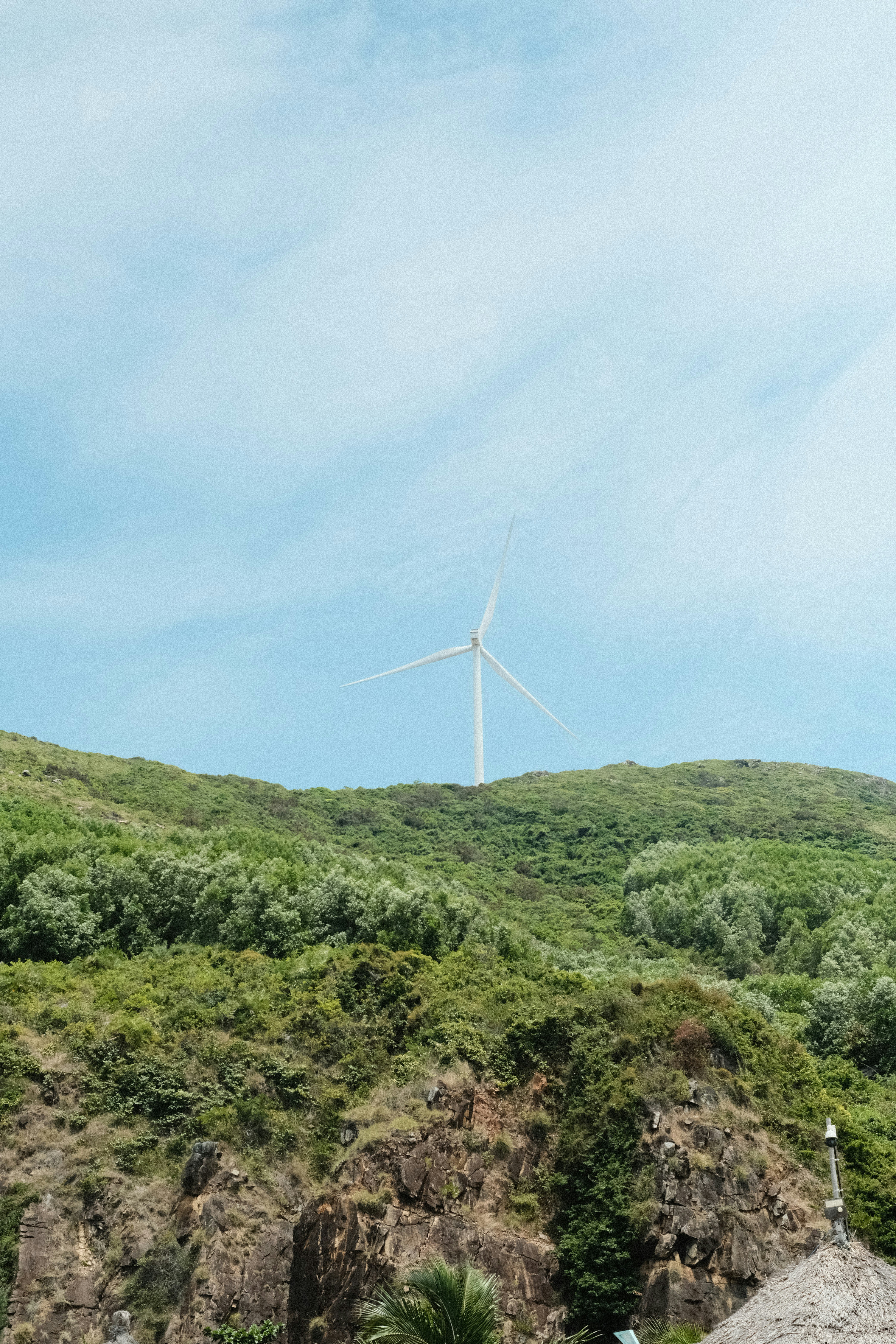 Harnessing Nature's Power: A Wind Turbine's Silent Vigil