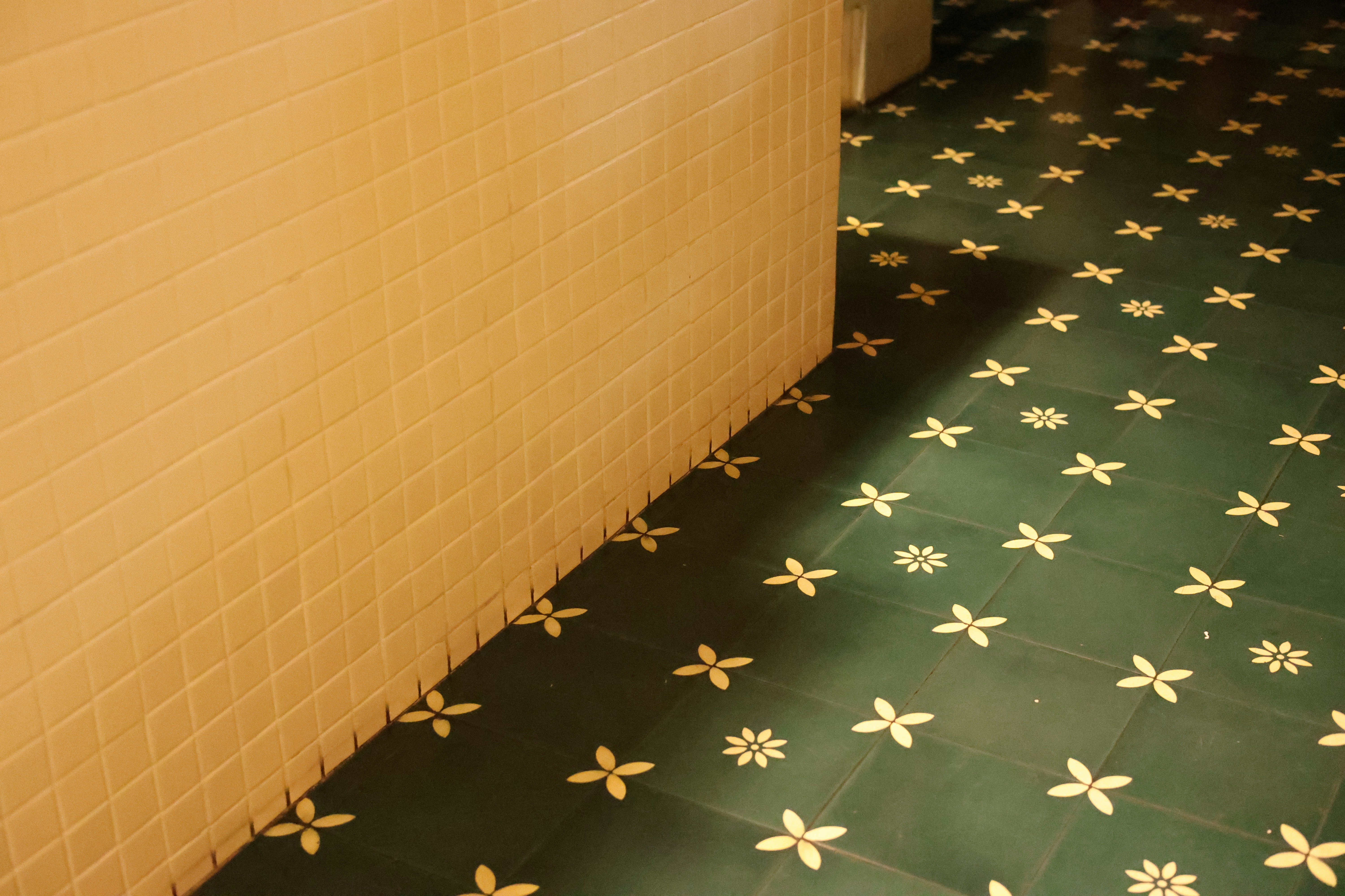 Corner of a wall and floor with flower patterns.