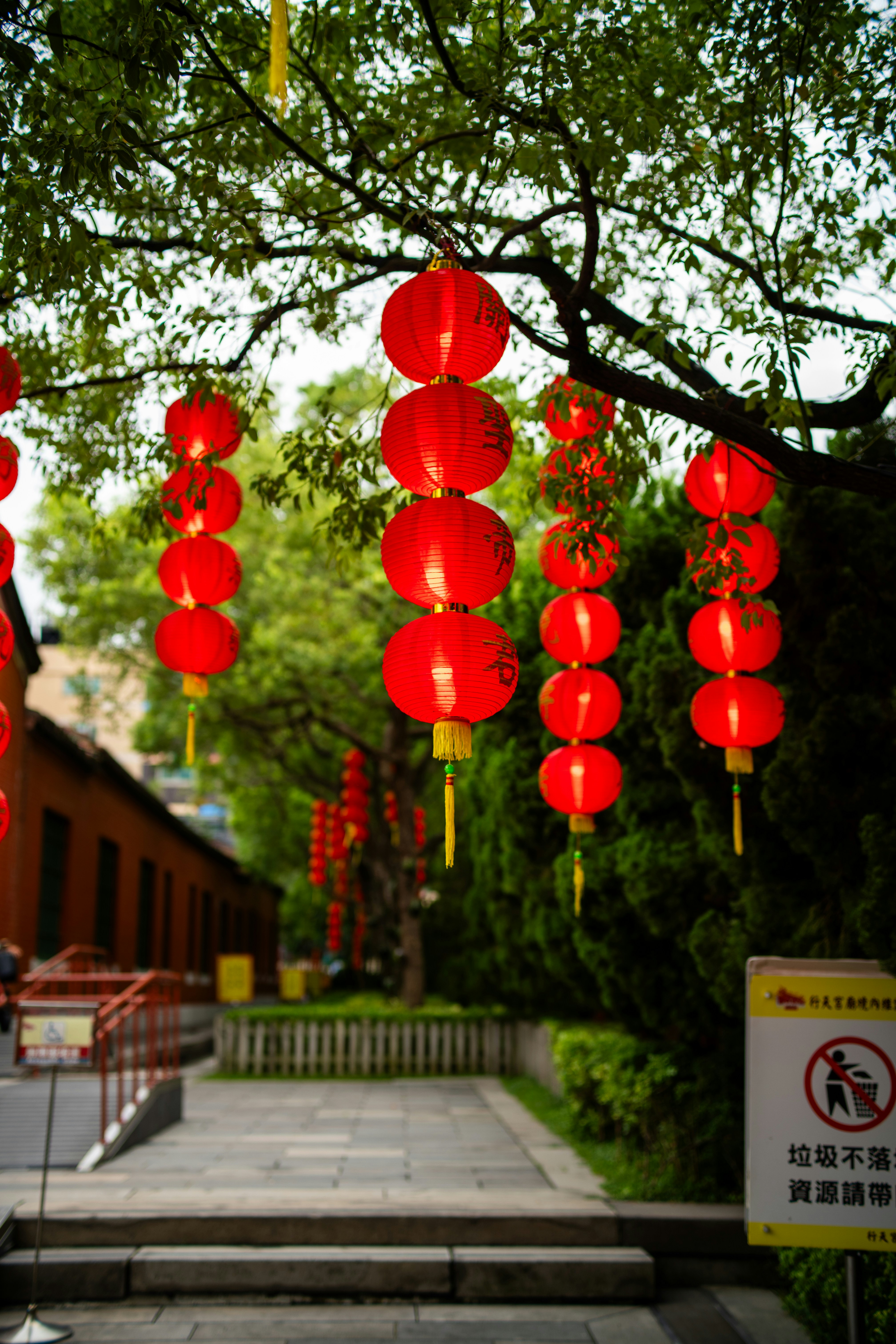 Vibrant red lanterns hanging from branches, casting a warm glow in a serene outdoor setting. A pathway leads through lush greenery, enhancing the festive atmosphere.