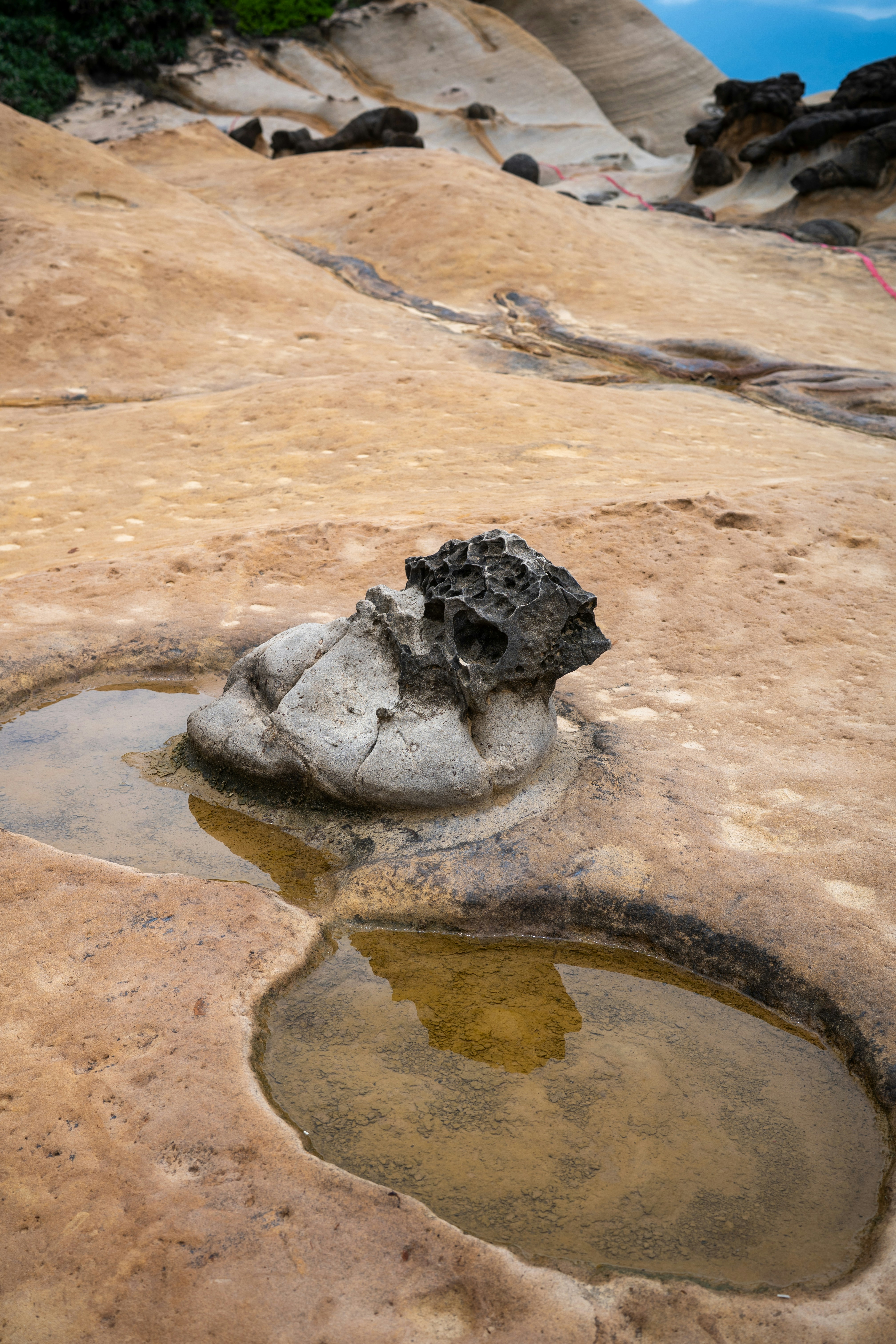 Eroded rocks sit in pools of water.