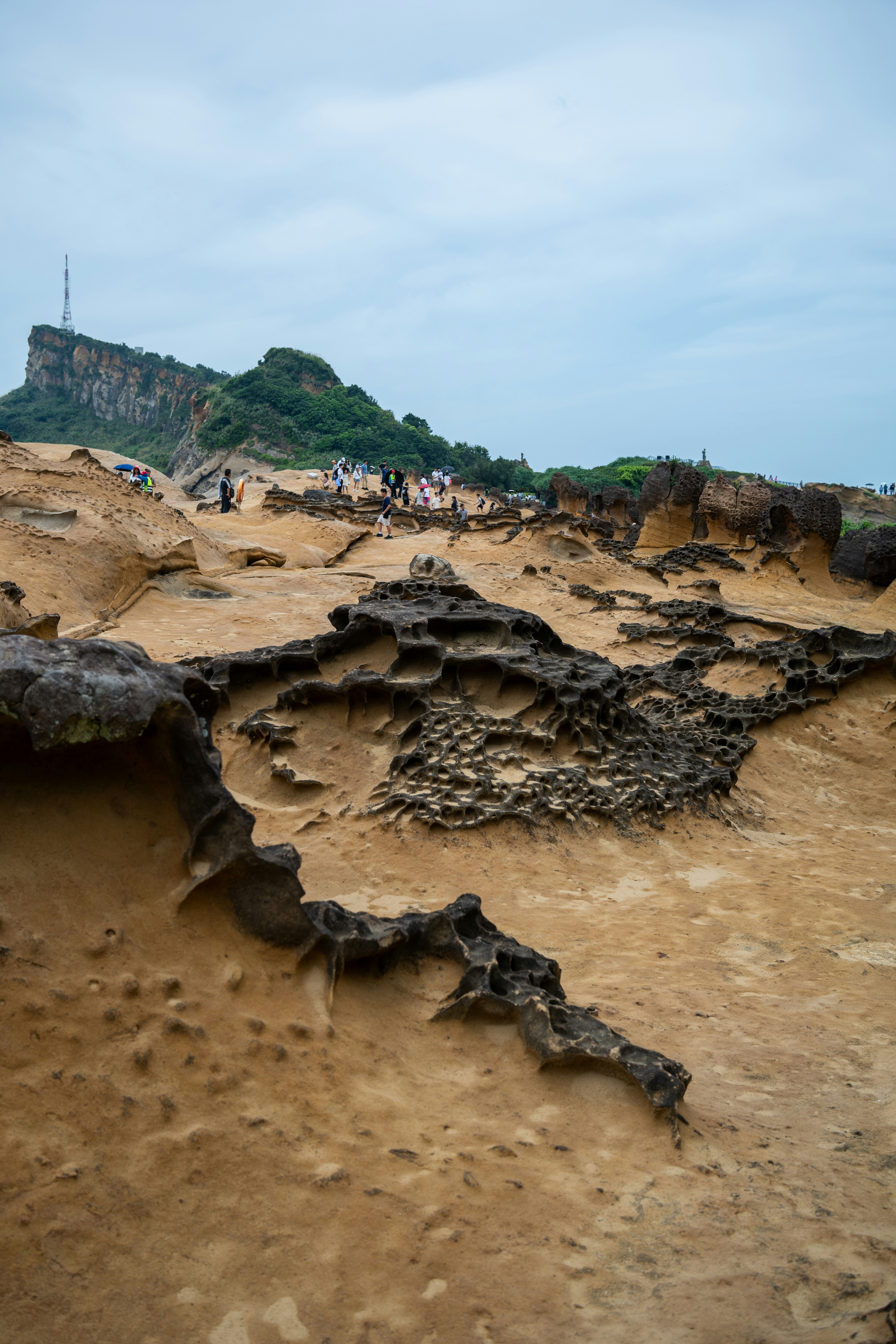 Intricate rock formations shaped by natural erosion, with visitors exploring the unique landscape. The scene captures the harmony between geology and human curiosity.