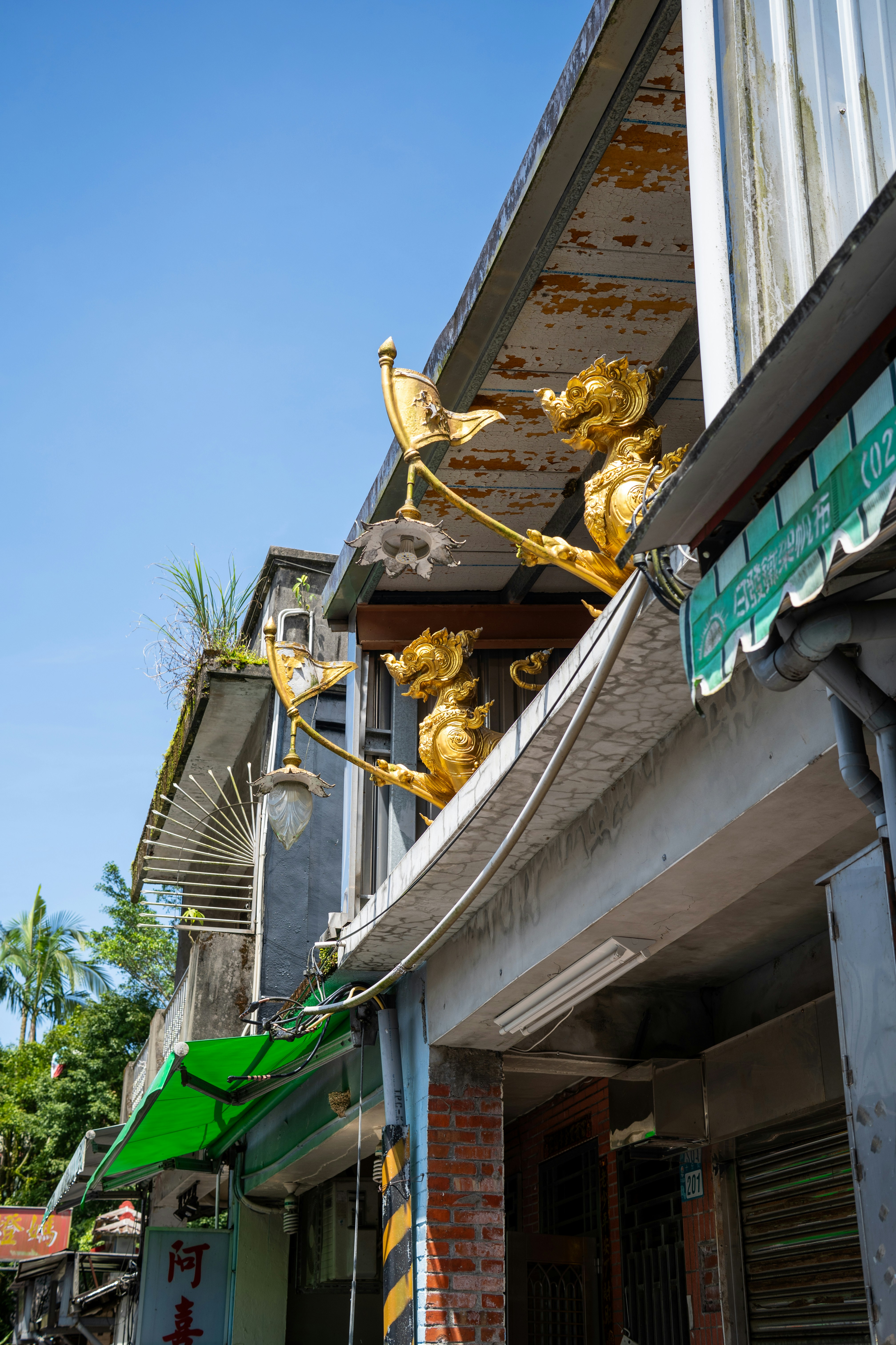 Golden Guardians: A Glimpse of Cultural Heritage