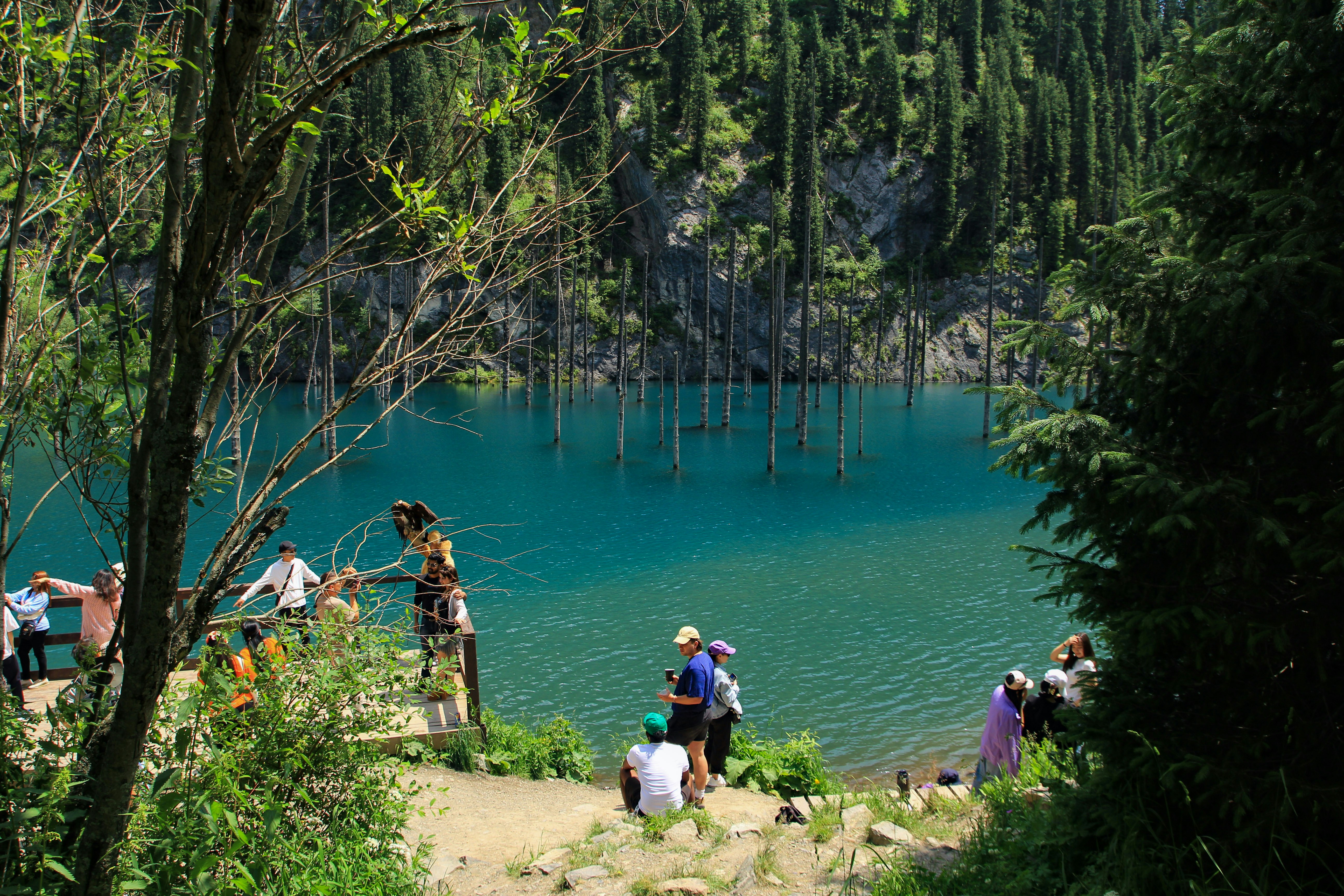 Emerald Lake Rendezvous: A Quiet Shore Portrait