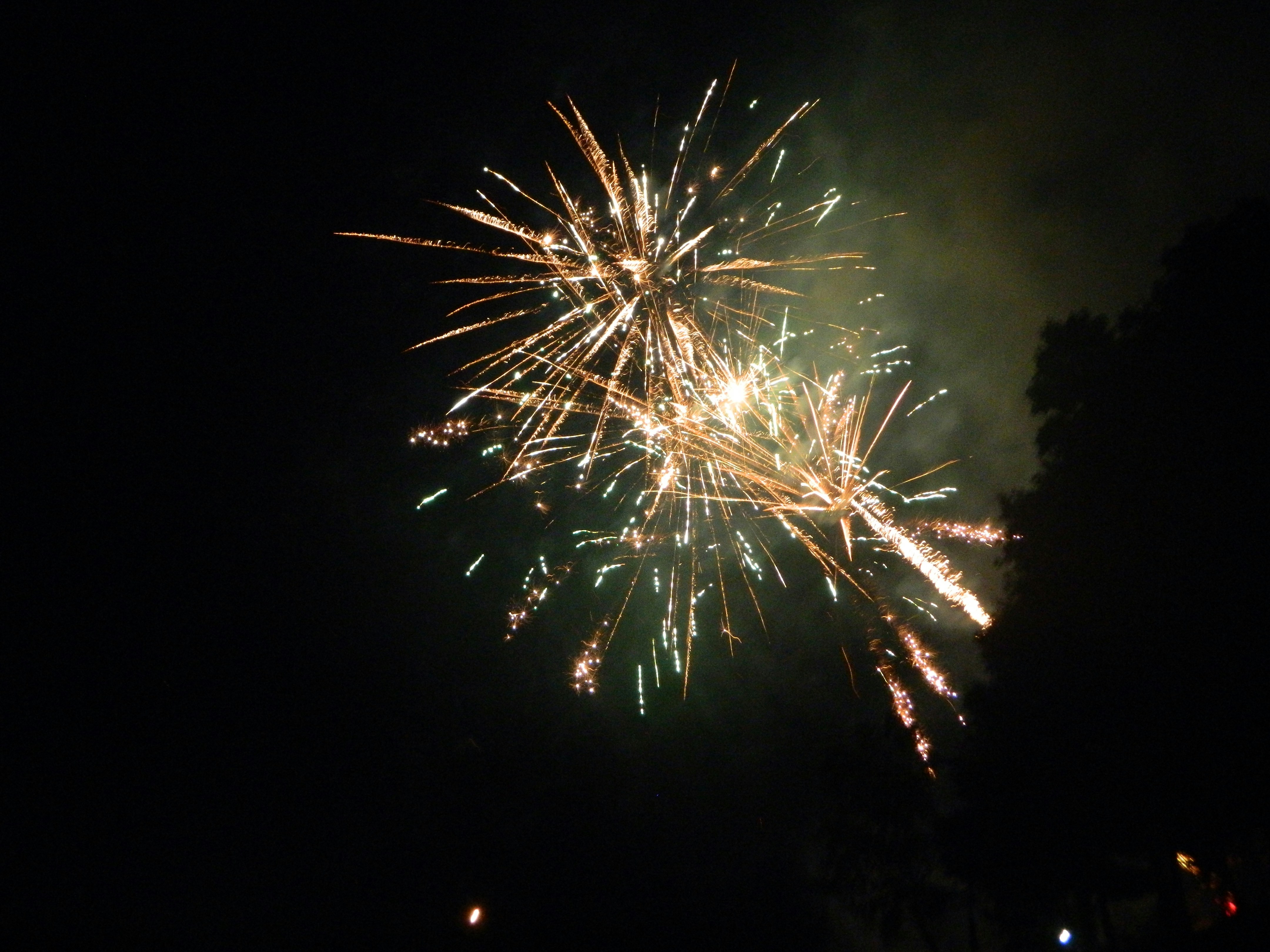 Fireworks explode in the dark night sky.