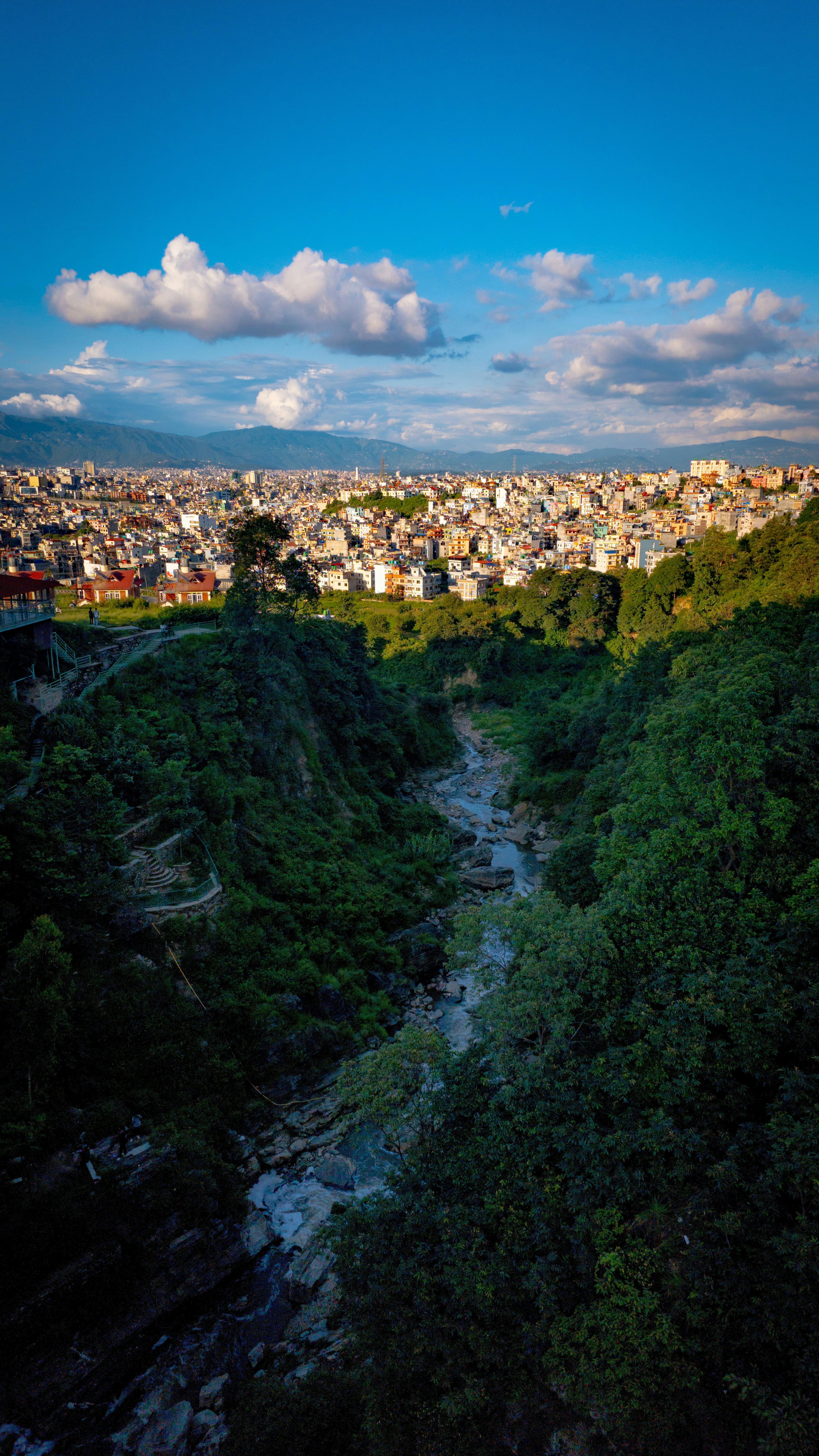 Urban Tapestry: Nature Meets Cityscape