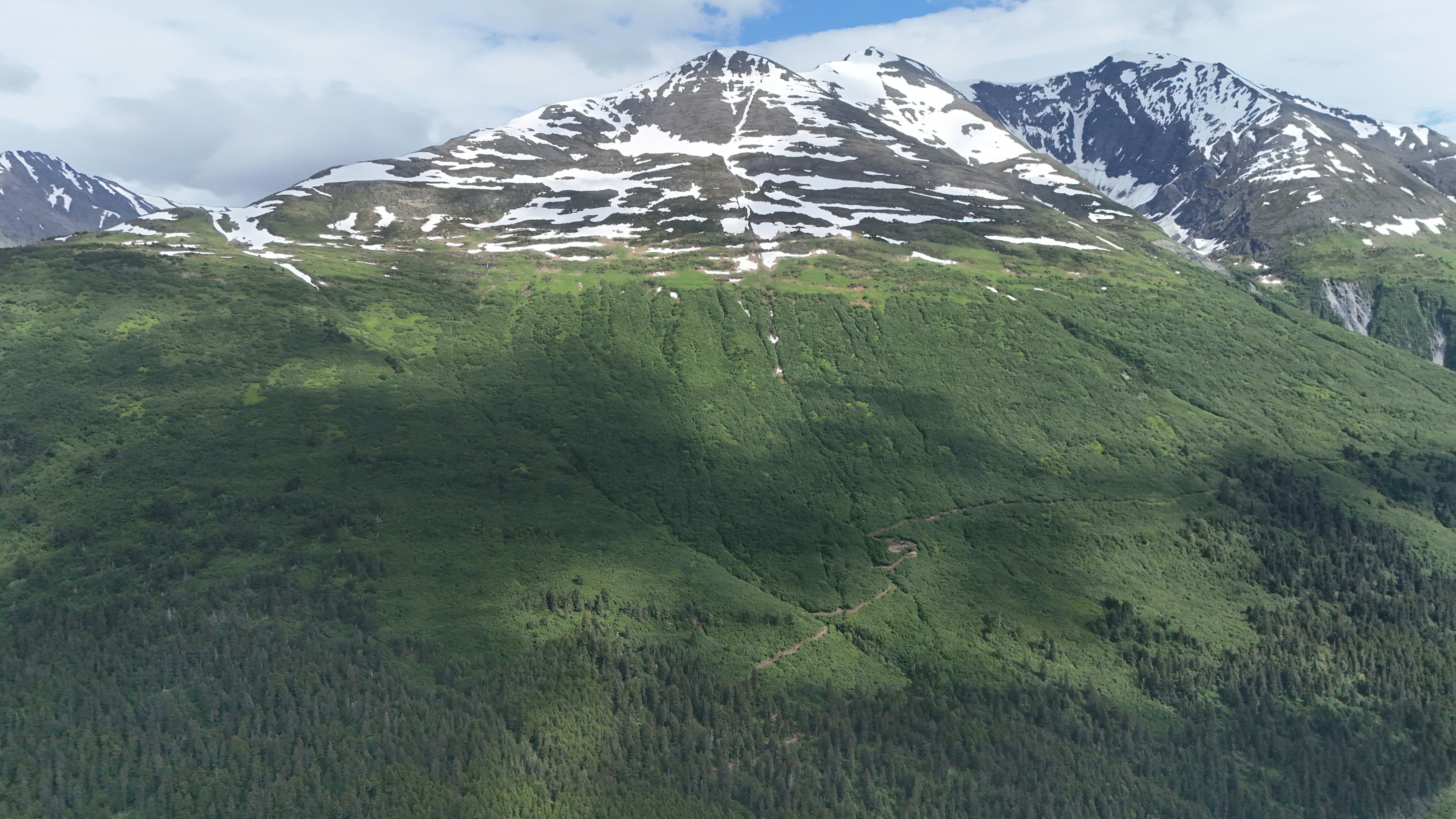 Lush green mountainsides transition into snow-covered summits under a partly cloudy sky. The scene showcases the rugged beauty of a mountainous landscape.