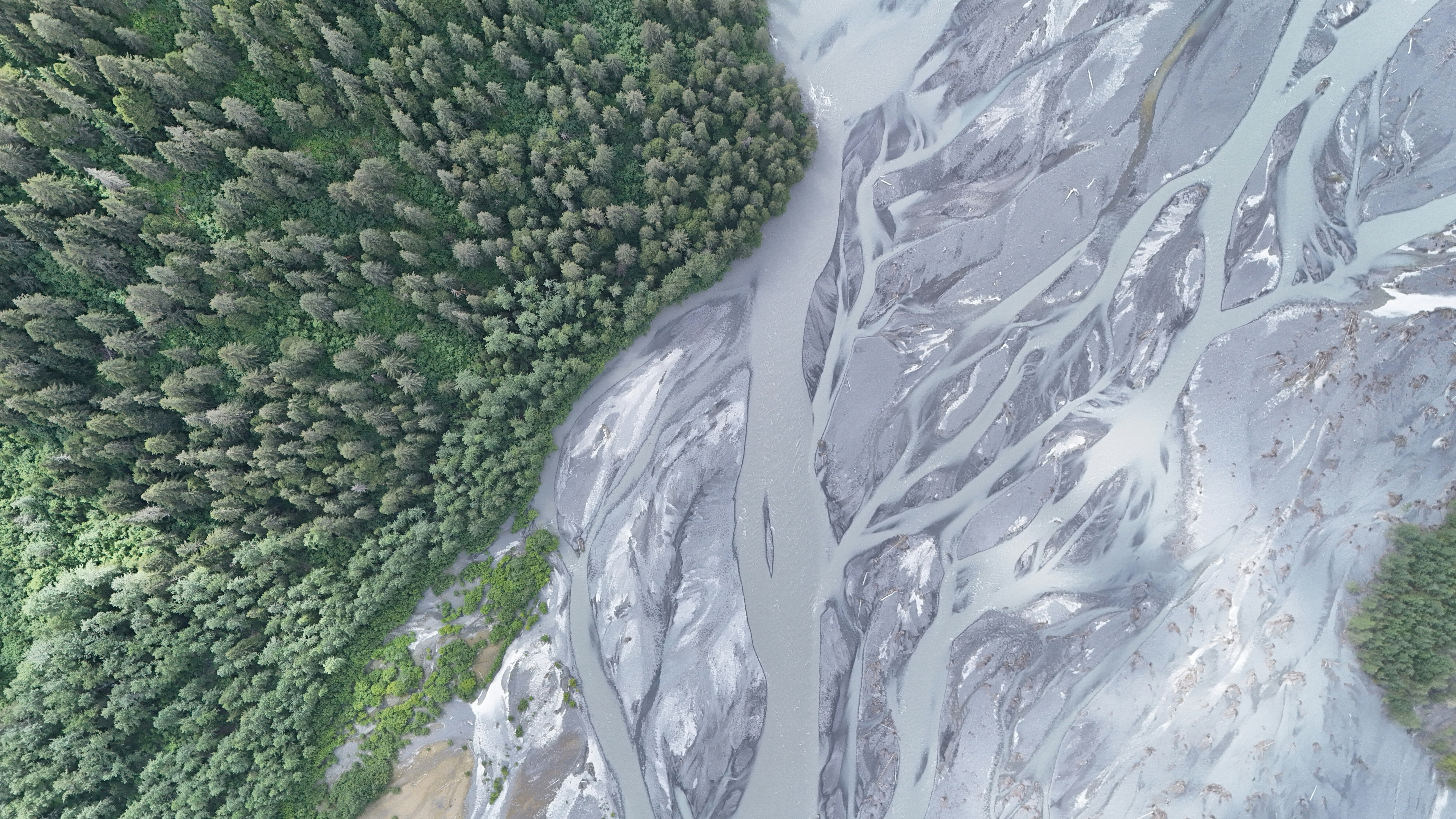 A river flows alongside a lush forest.