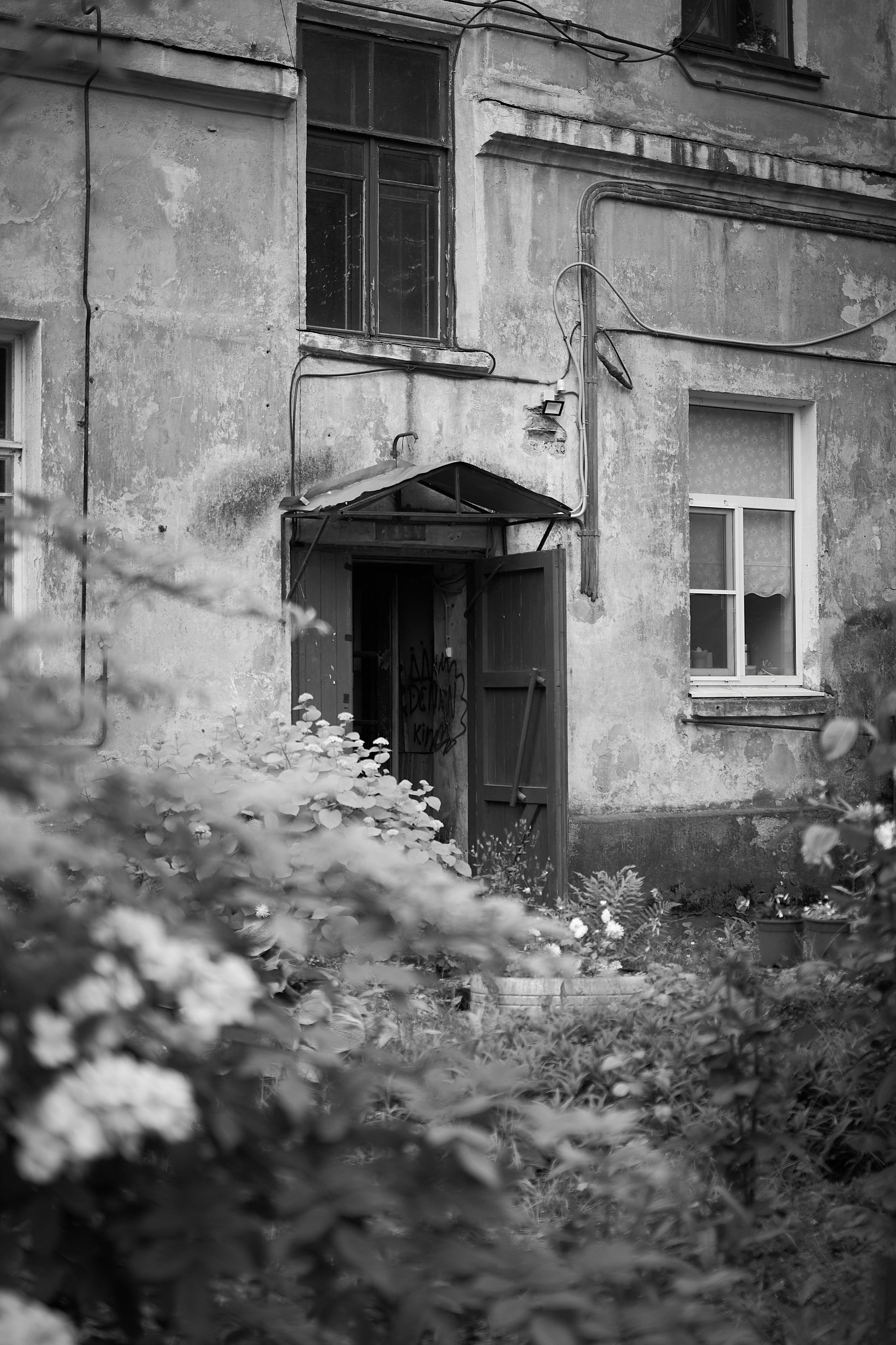 Whispers of a Forgotten Entryway