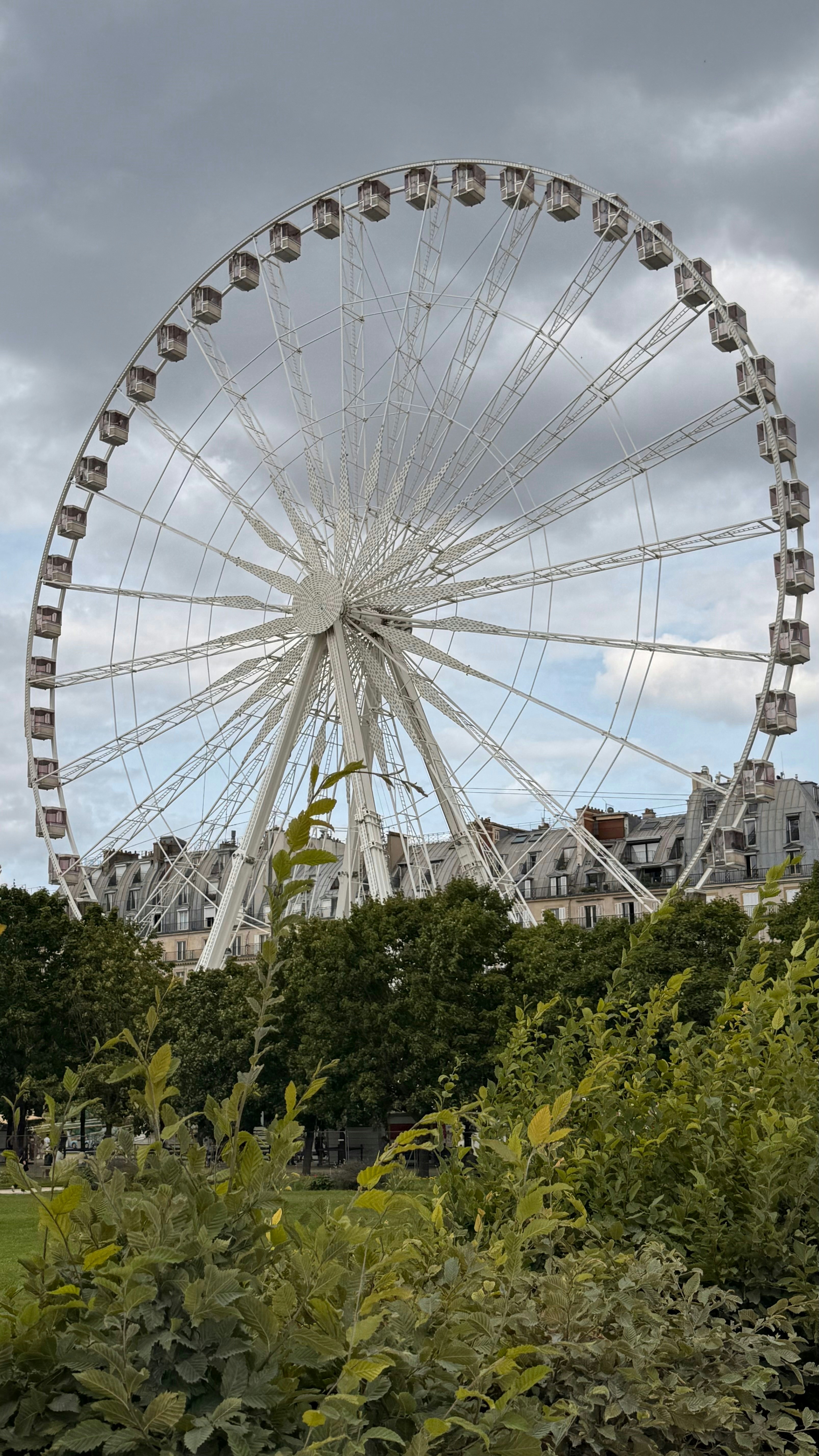 Whispers of the Ferris Wheel: A Parisian Perspective
