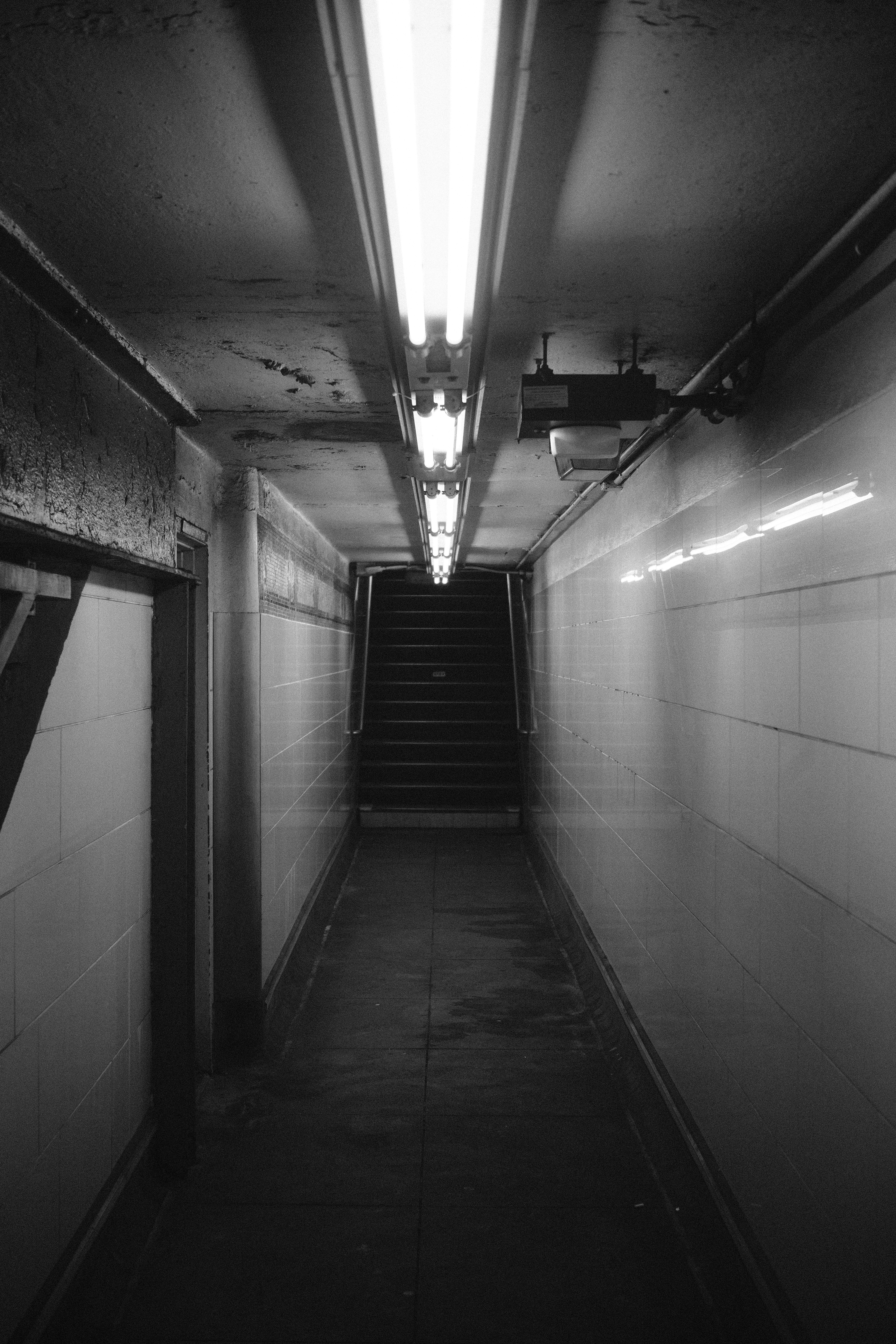Dimly lit corridor leading to a staircase, illuminated by fluorescent lights above. The stark contrast of light and shadow creates a moody atmosphere.