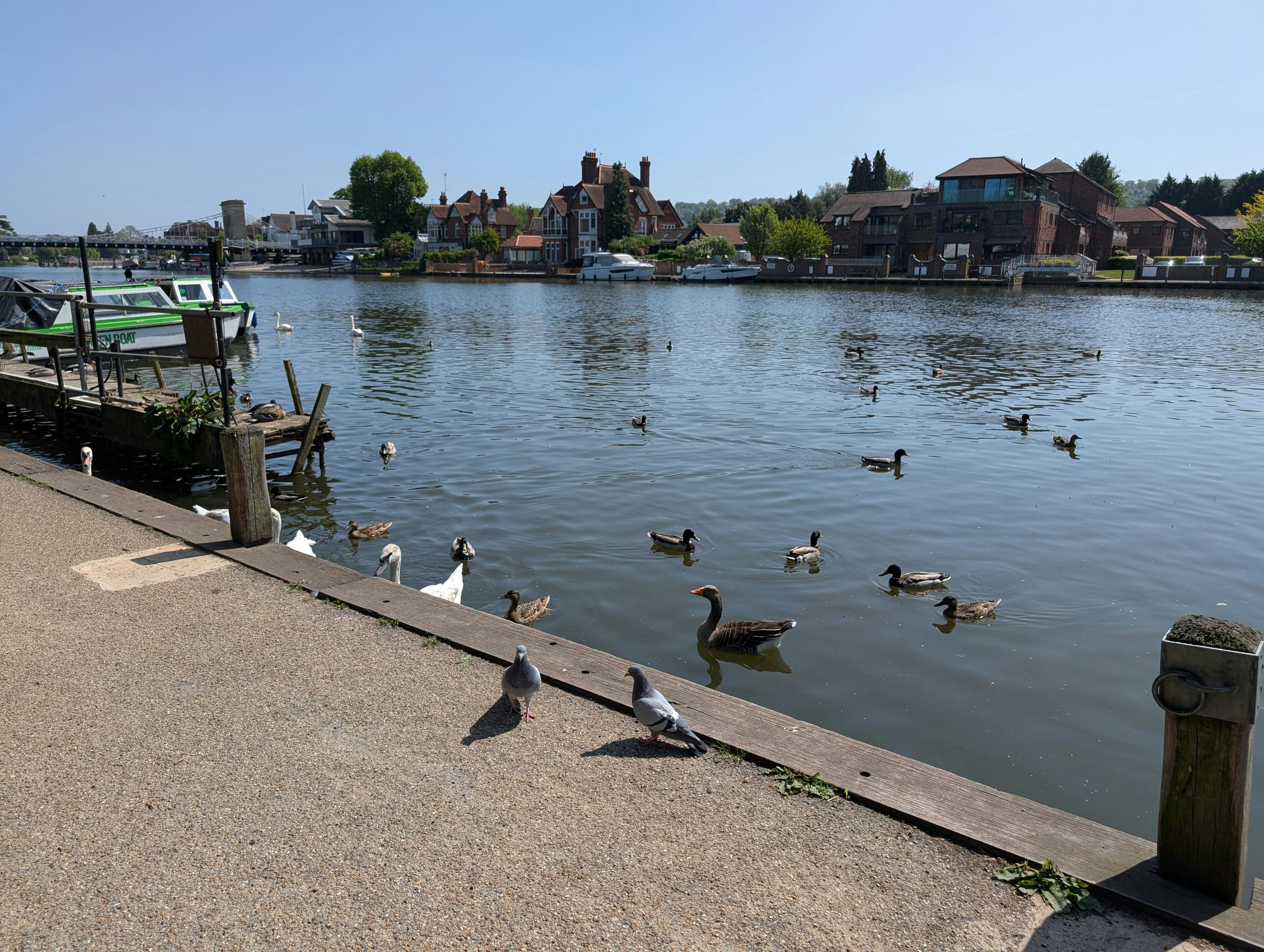 Serenity by the Waterside: A Day in the Sun