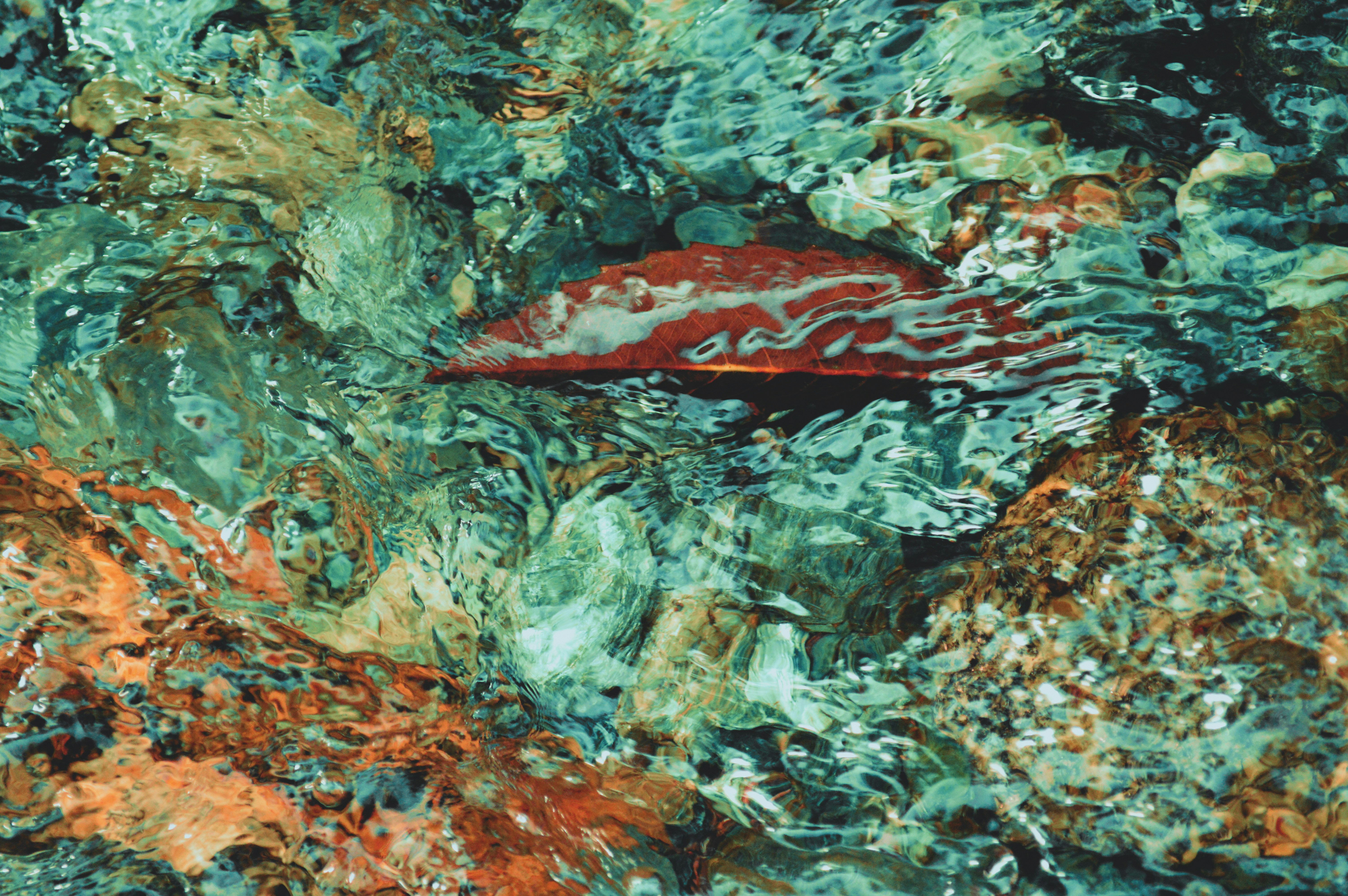 Colorful abstract texture and detail.