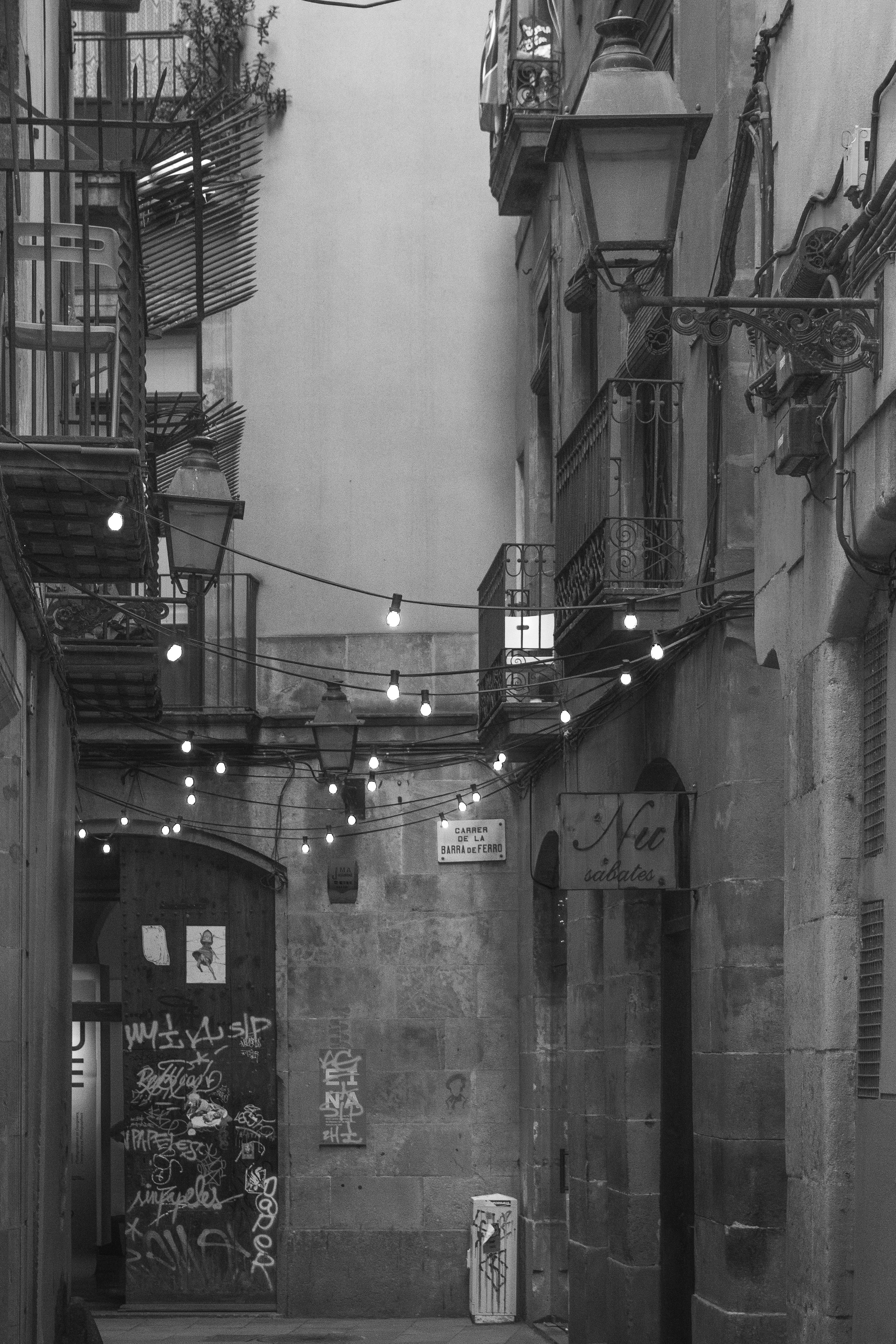 Whispers of the Urban Alley