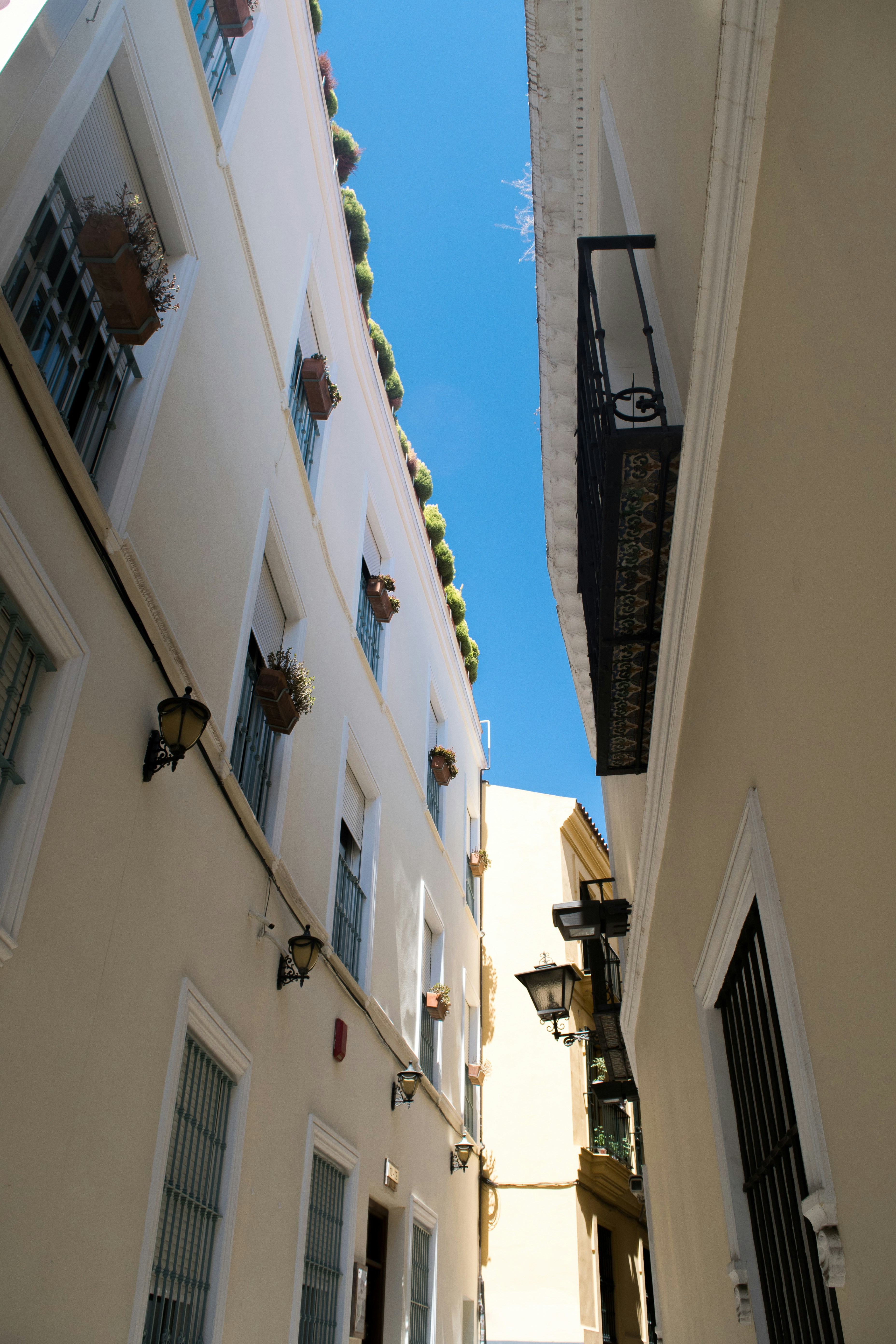 Narrow street with buildings reaching towards the sky.