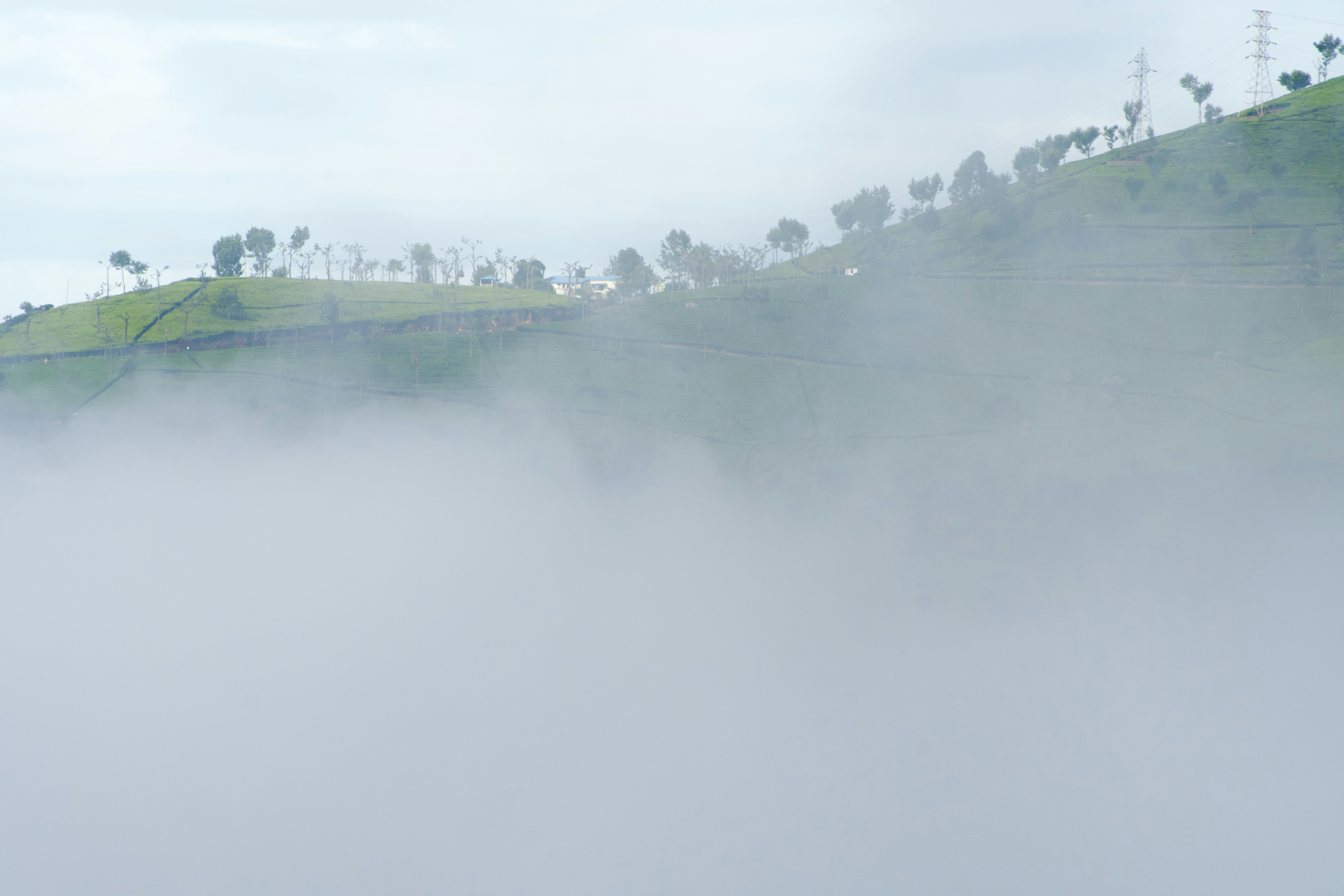 Whispers of the Misty Hills