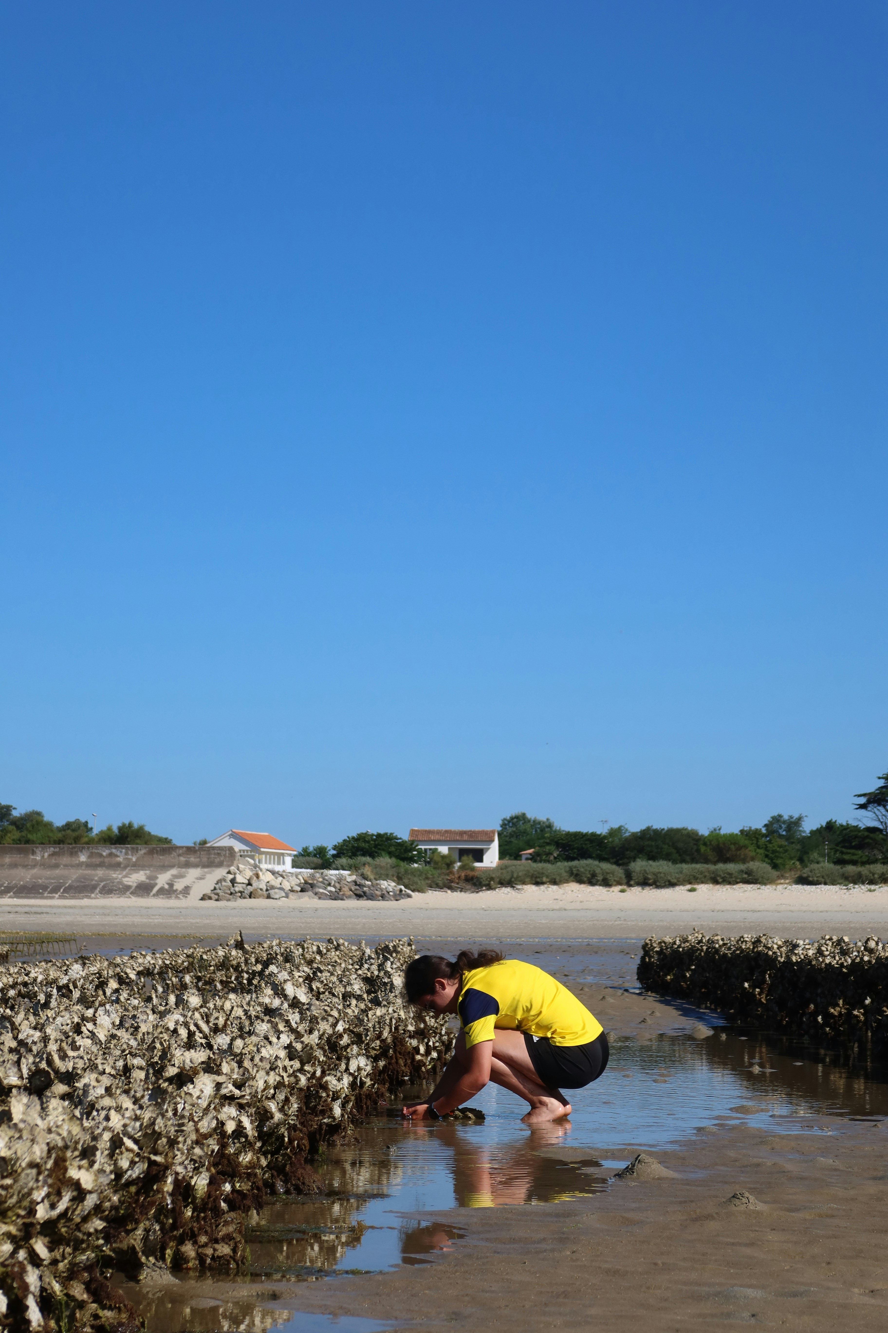 Yellow at the Tide: A solitary shoreline study