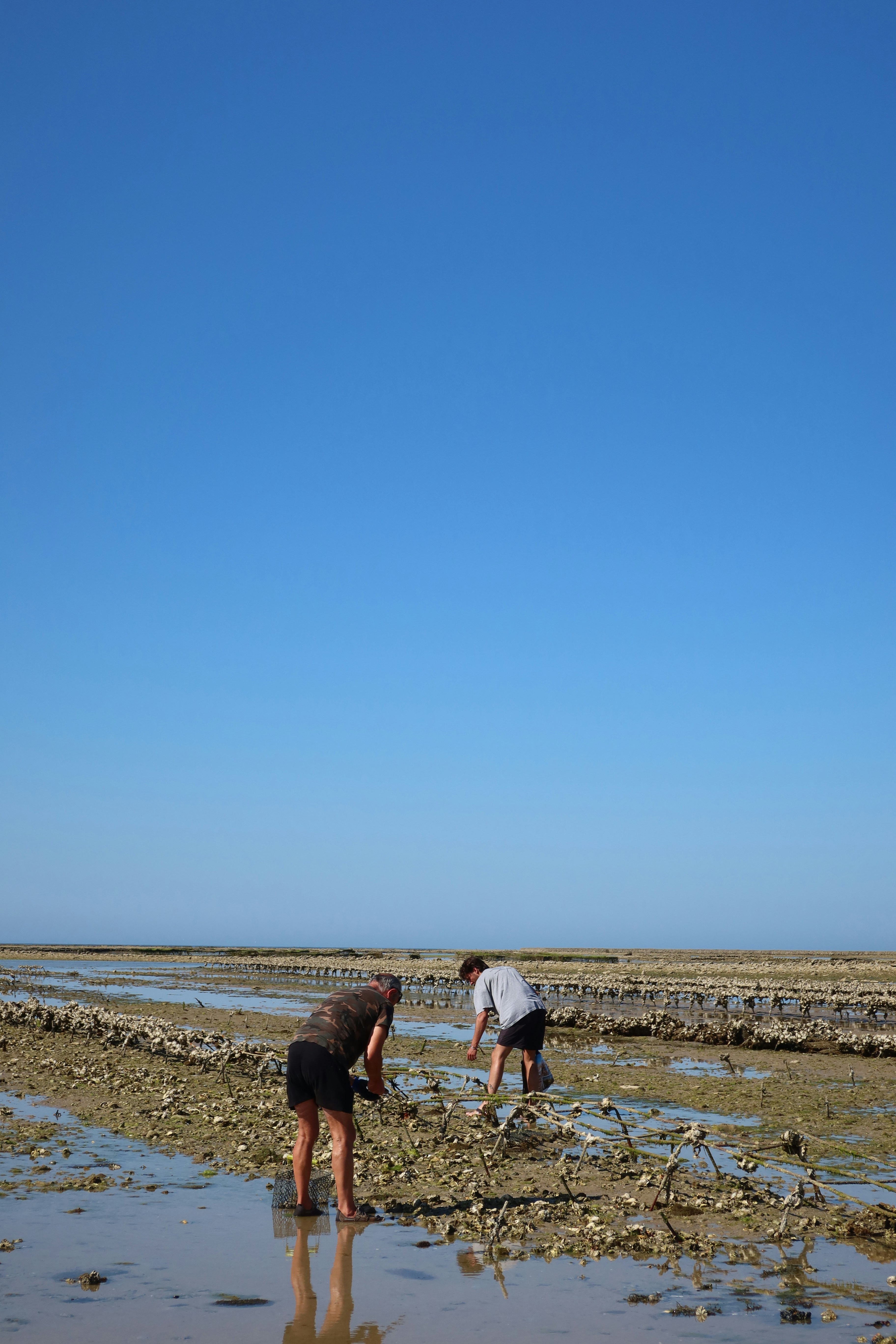Two Figures Probe the Tidal Flats Under a Vast Blue Sky