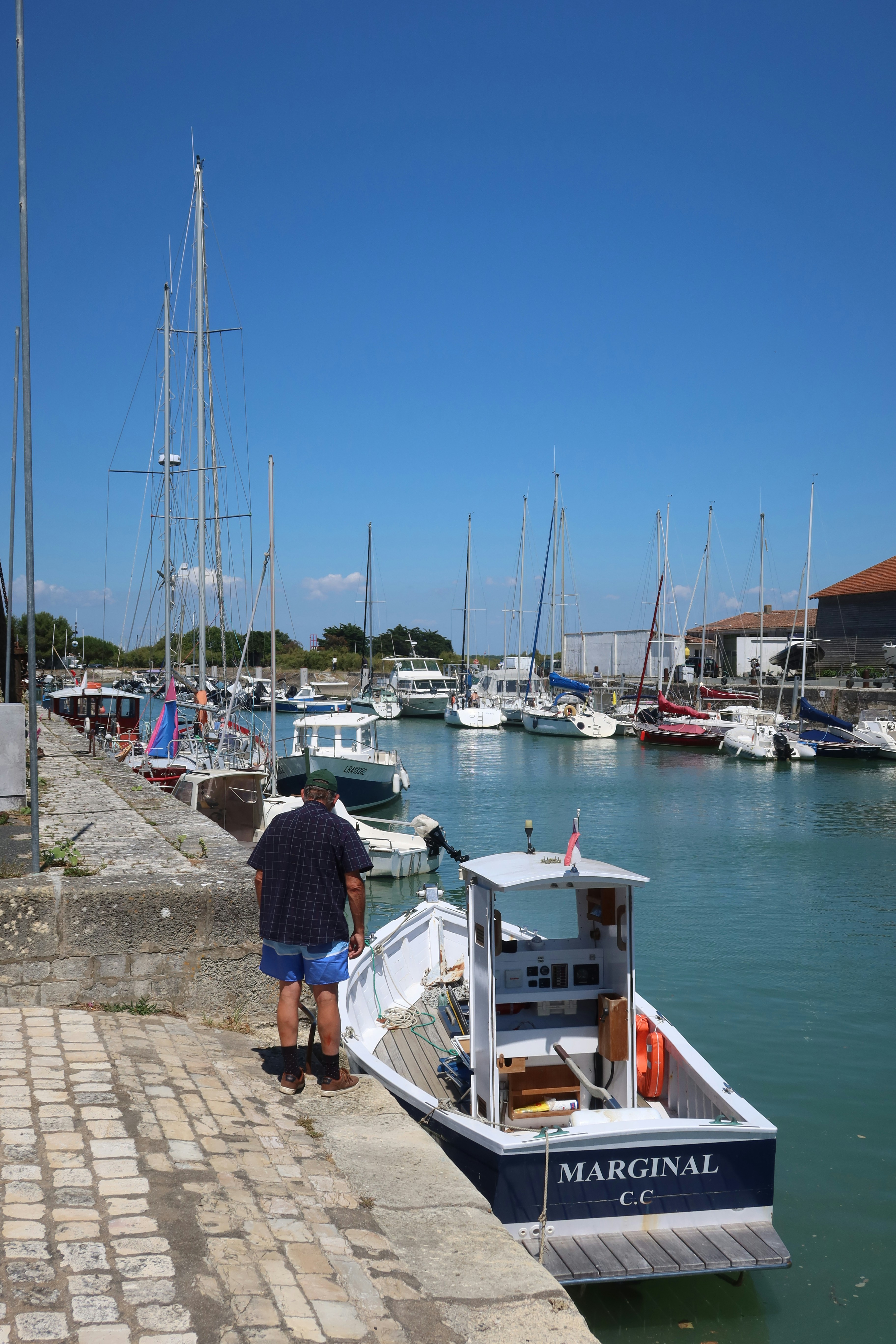 Harbor Serenity: A Moment by the Water