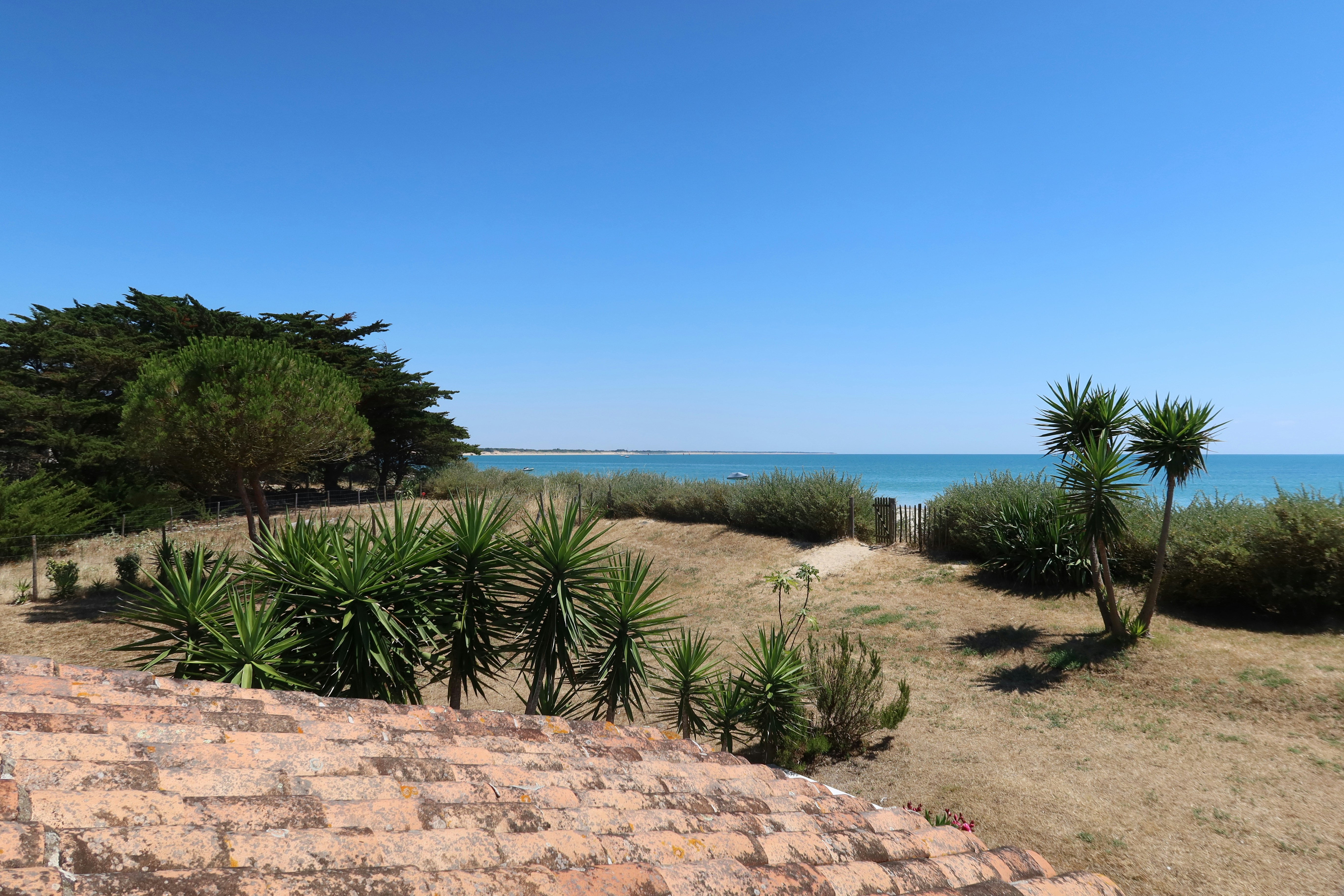 A sun‑bleached terracotta roof overlooks a dry garden of spiky yucca plants and coastal shrubbery, opening through a rustic gate to a turquoise sea under a cloudless blue sky.