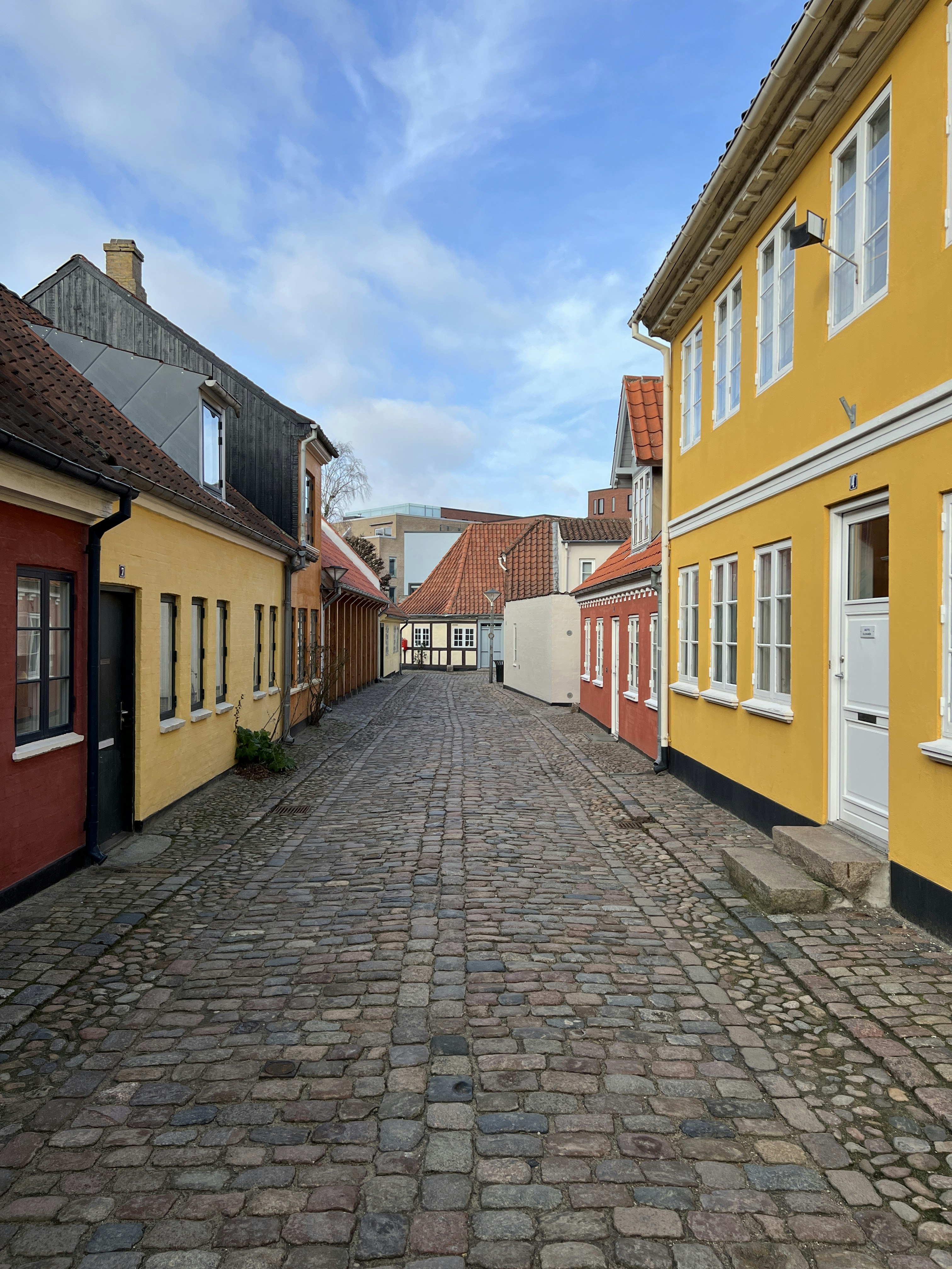 A striking façade of a modern building stands tall in the heart of Odense's city center, its sleek design reflecting off the surrounding cobblestone streets. | A cobblestone street with colorful buildings.