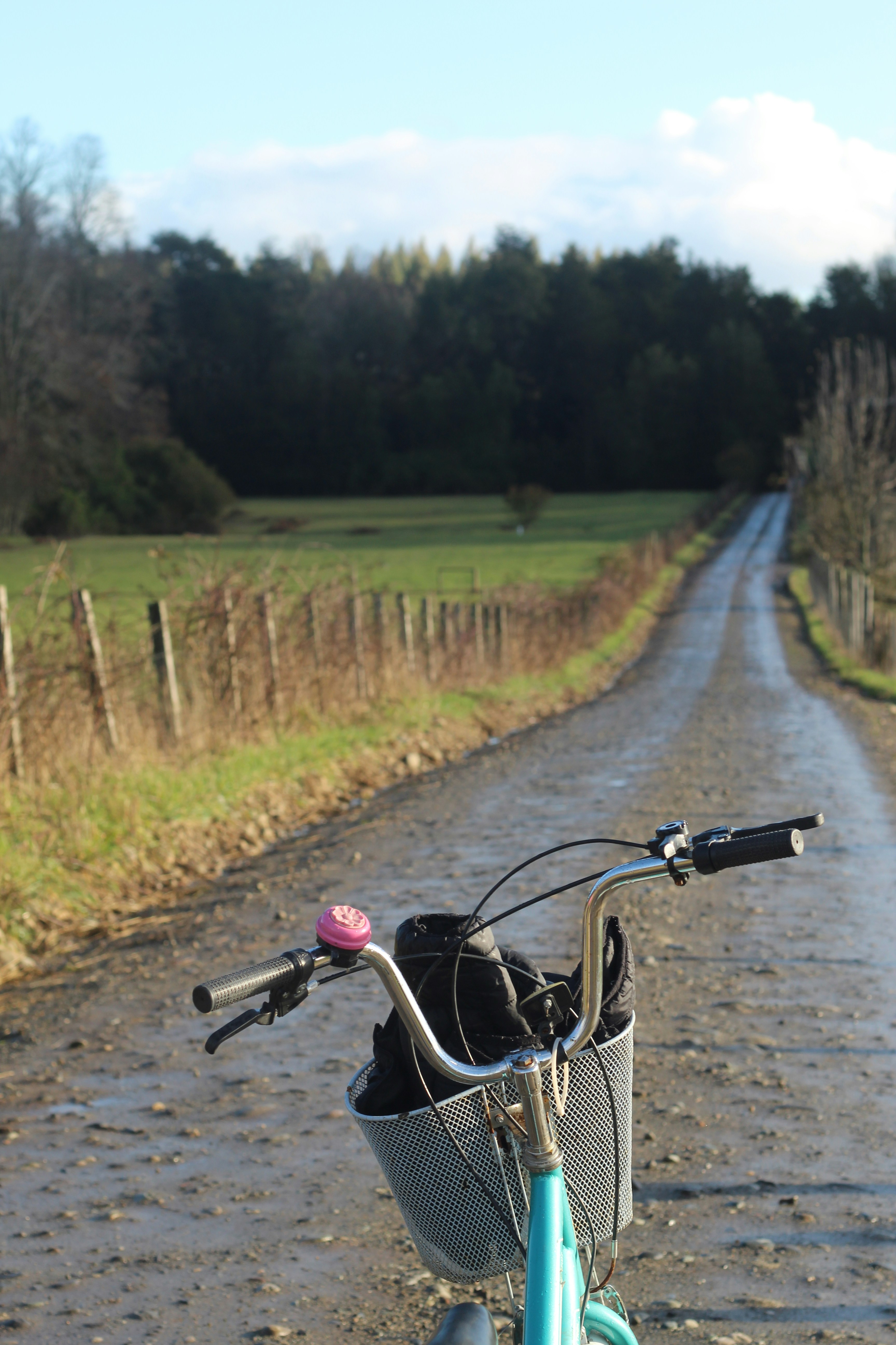 Bike with a basket on a country road.