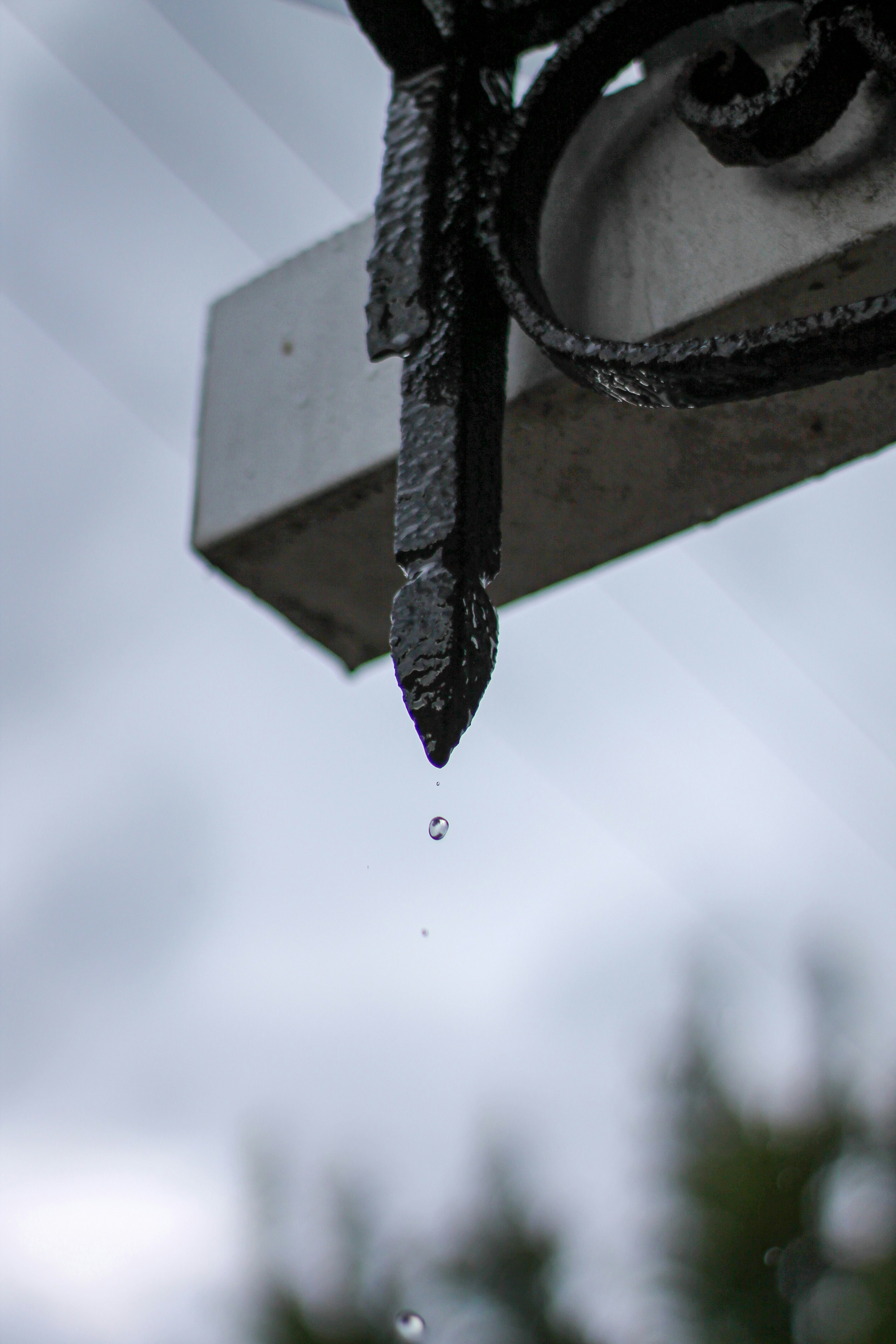 Echoes of Rain: A Moment Suspended