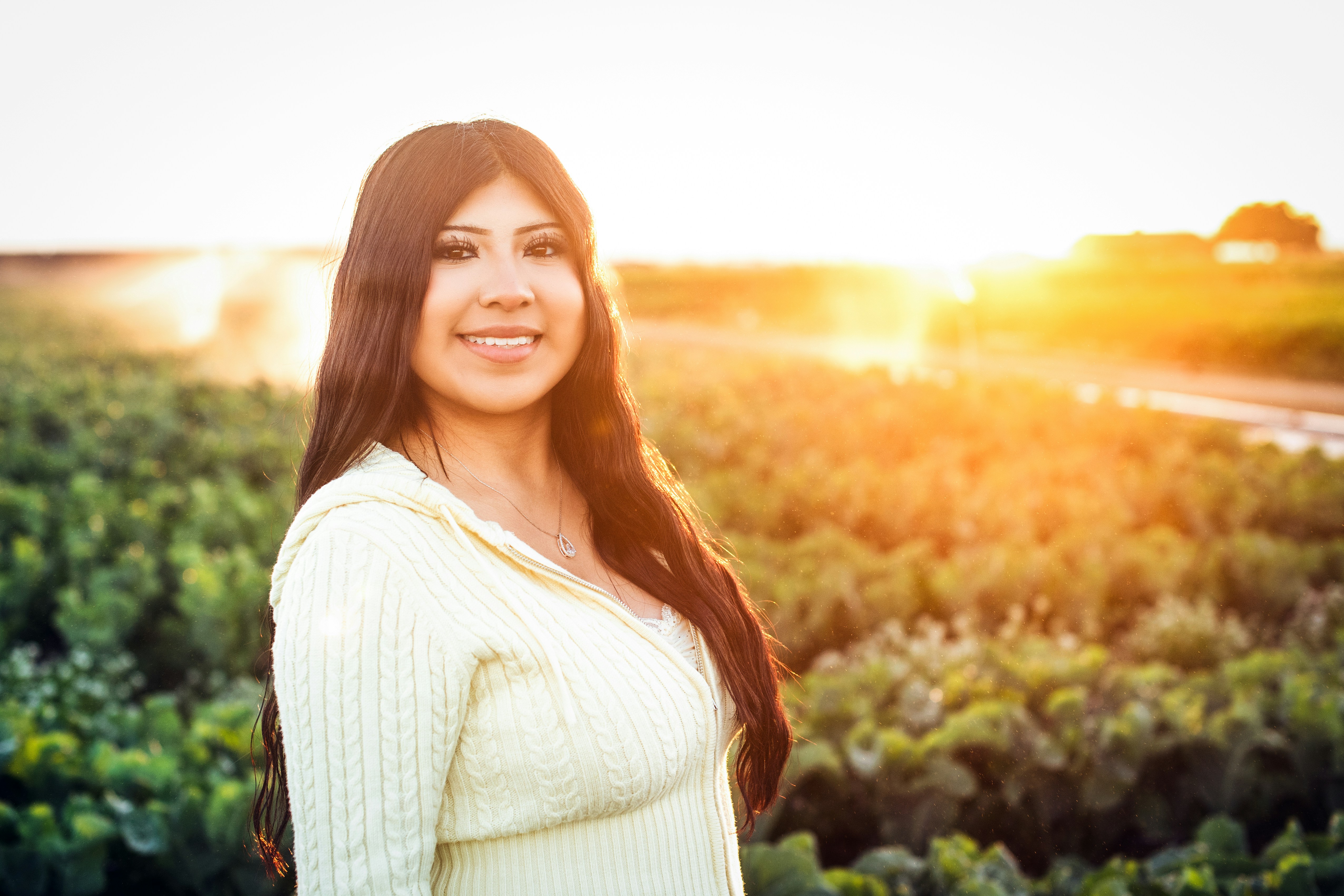 Golden Hour Glow in the Vineyard