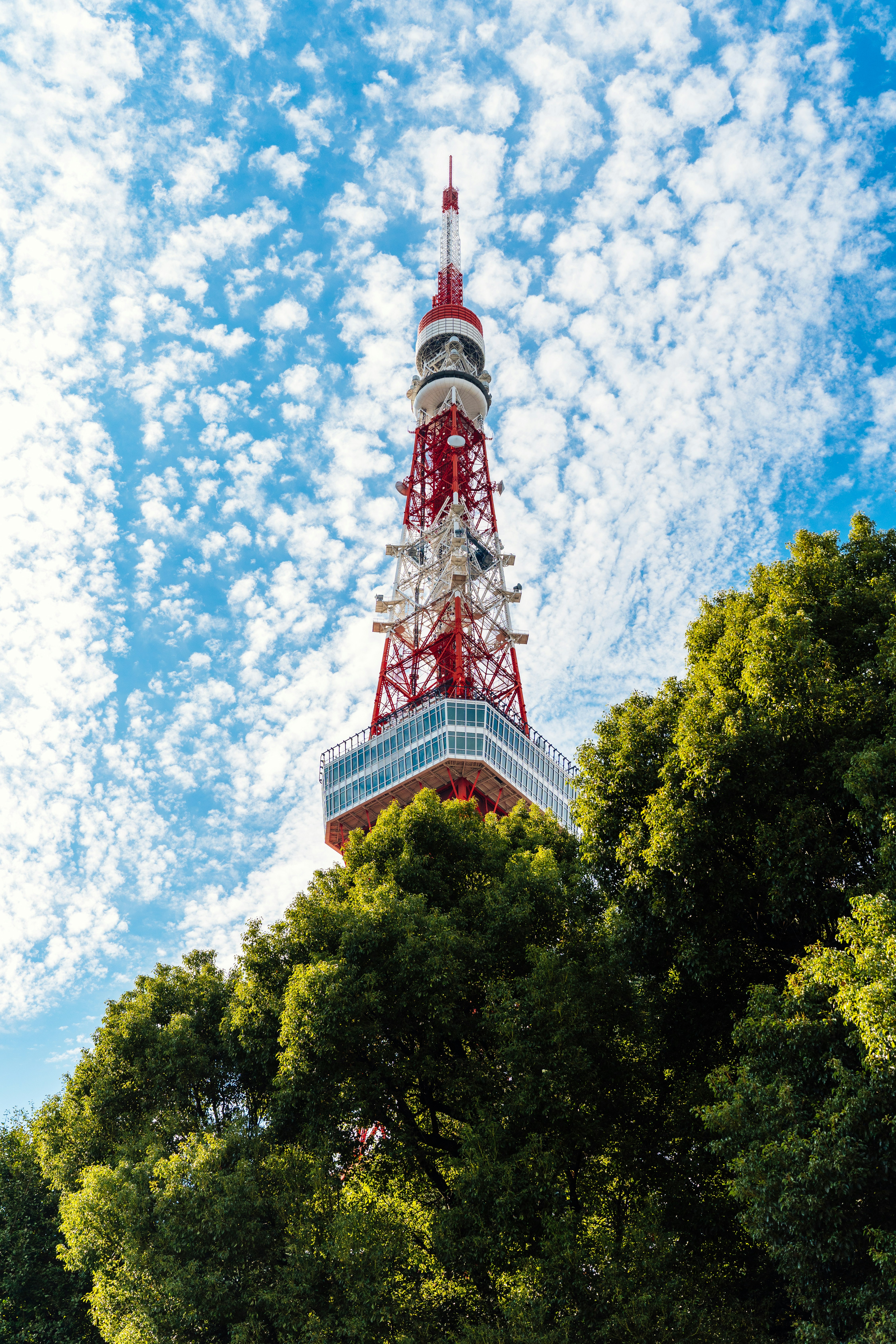 Tokyo Tower Piercing the Sky: A Copper-and-Red Mast Between Tree Tops