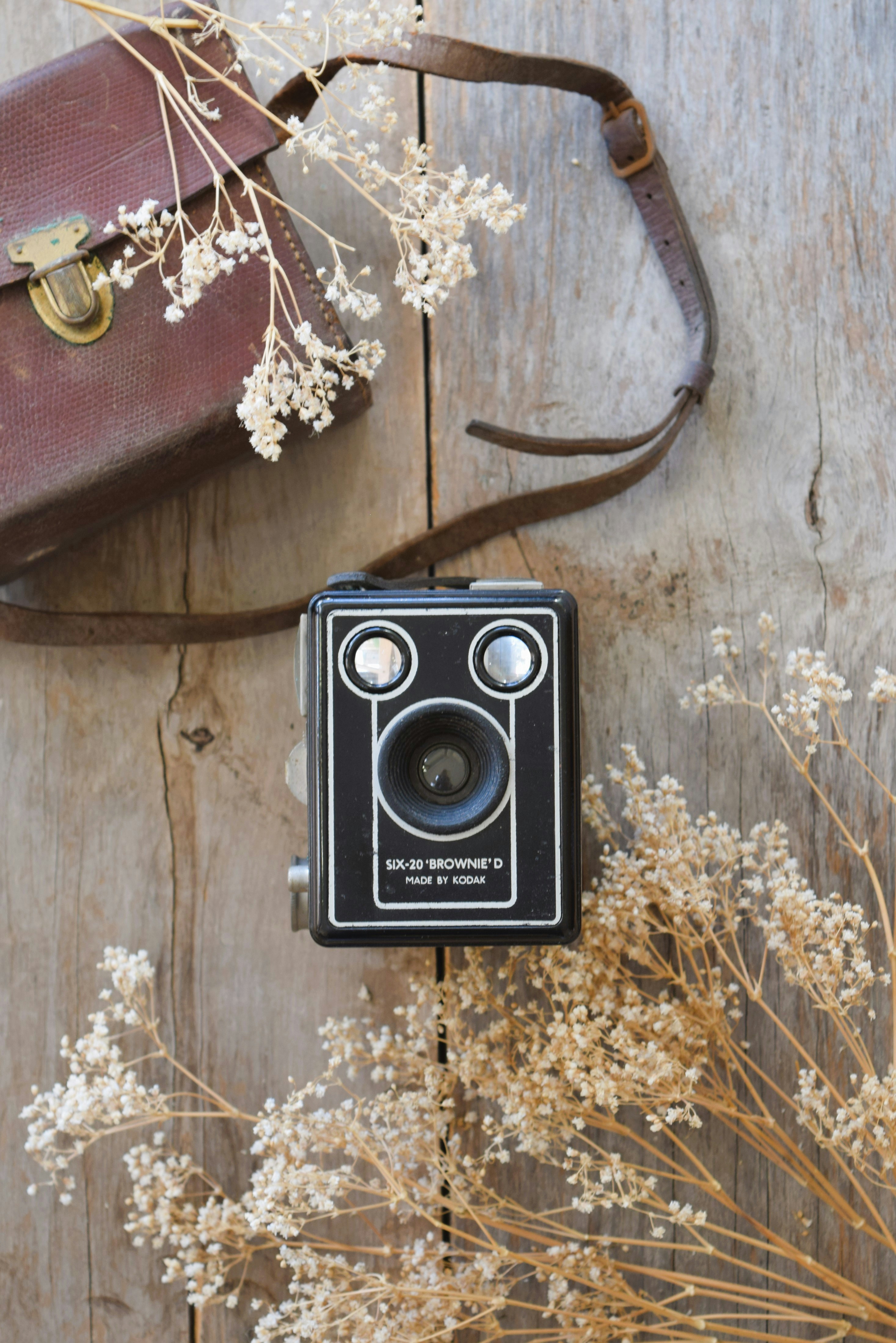 The Quiet Archive: A Vintage Kodak Brownie Resting Among Dried Florals