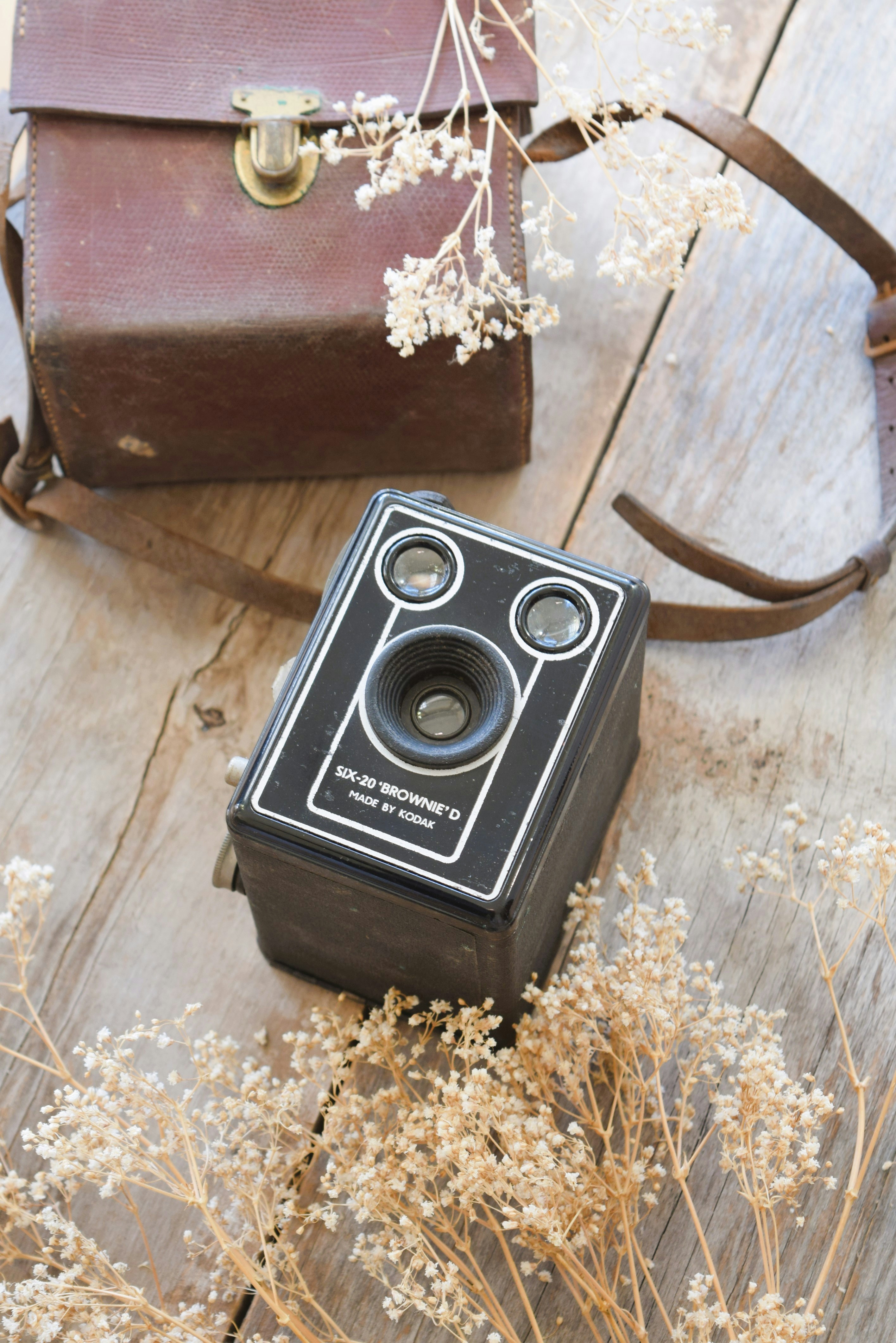 Nostalgic Echoes of Photography