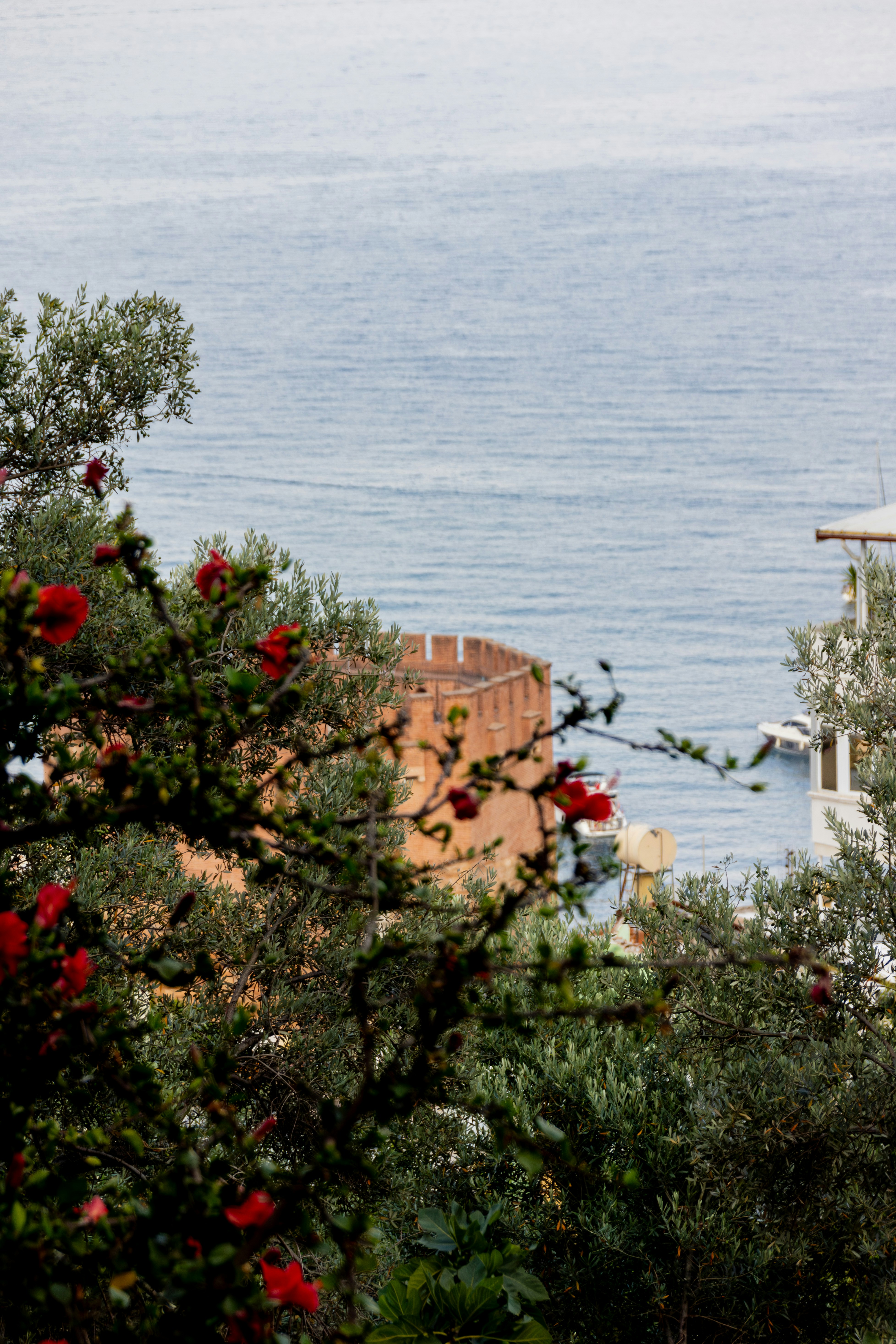 A Coastal Embrace: Nature Meets Heritage