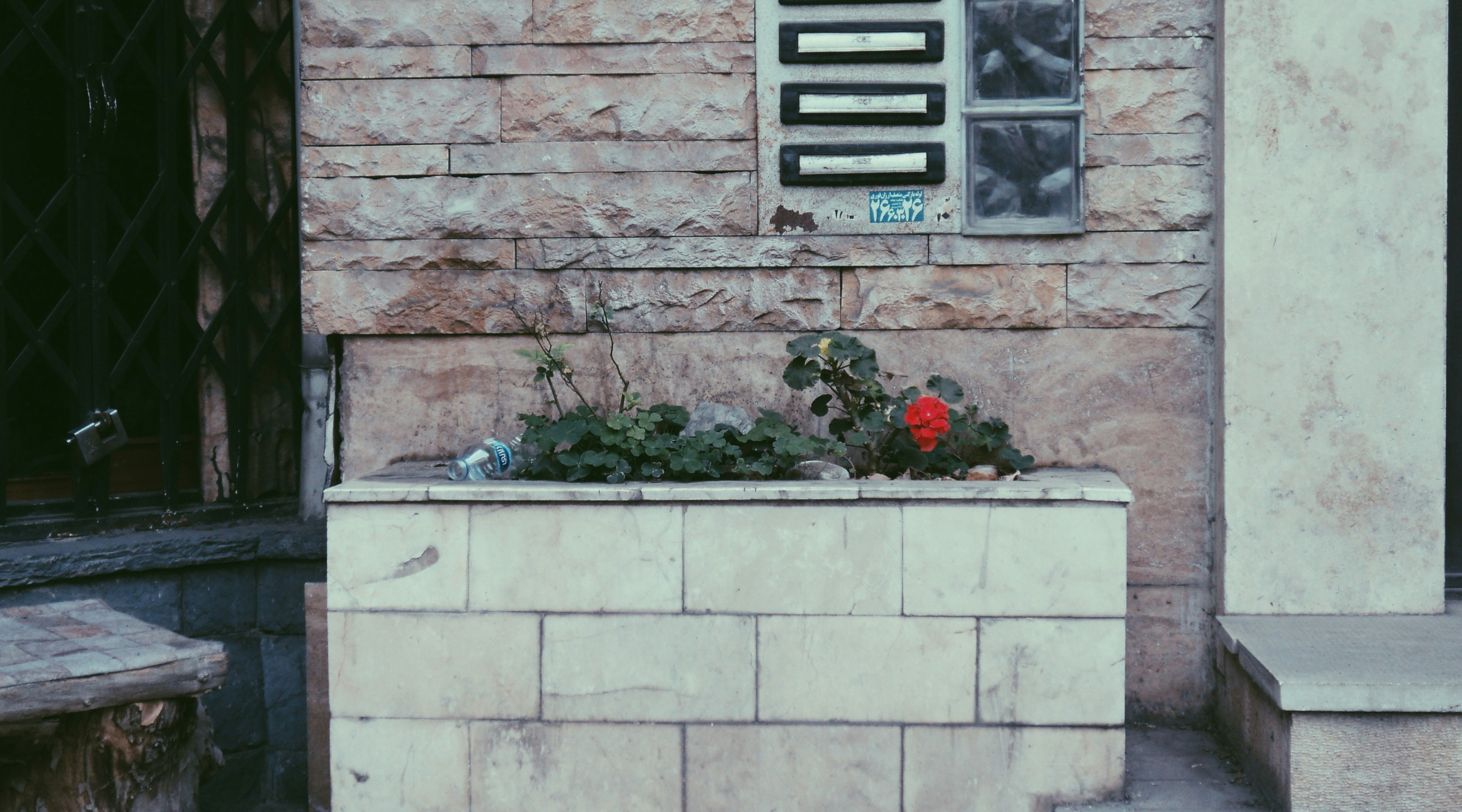 Even here, a flower tries. | A brick planter adorns a building's exterior.