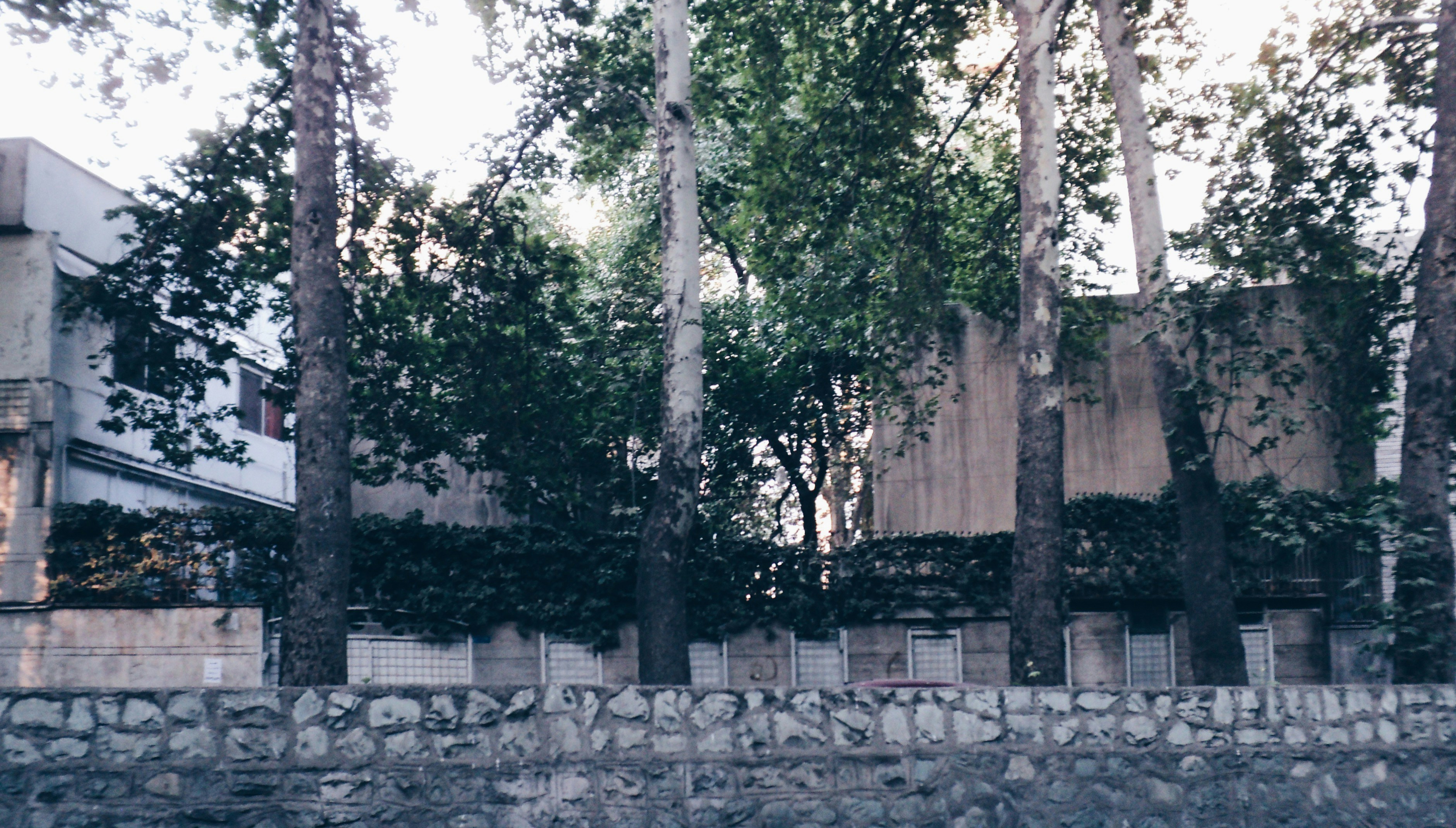 A quiet sanctuary from the street. | Trees and a building are framed by a stone wall.