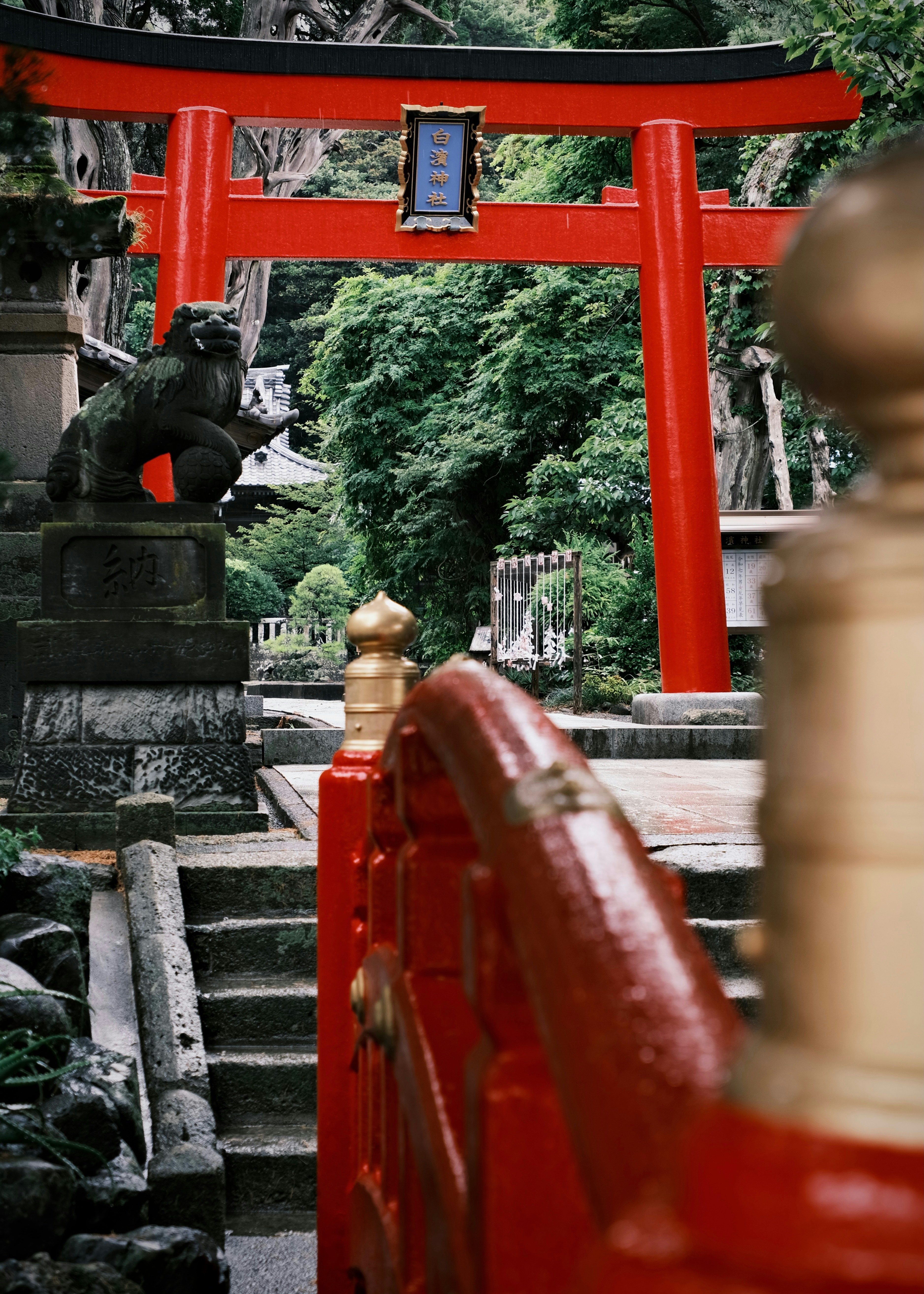 Gateway to Serenity: The Torii's Embrace