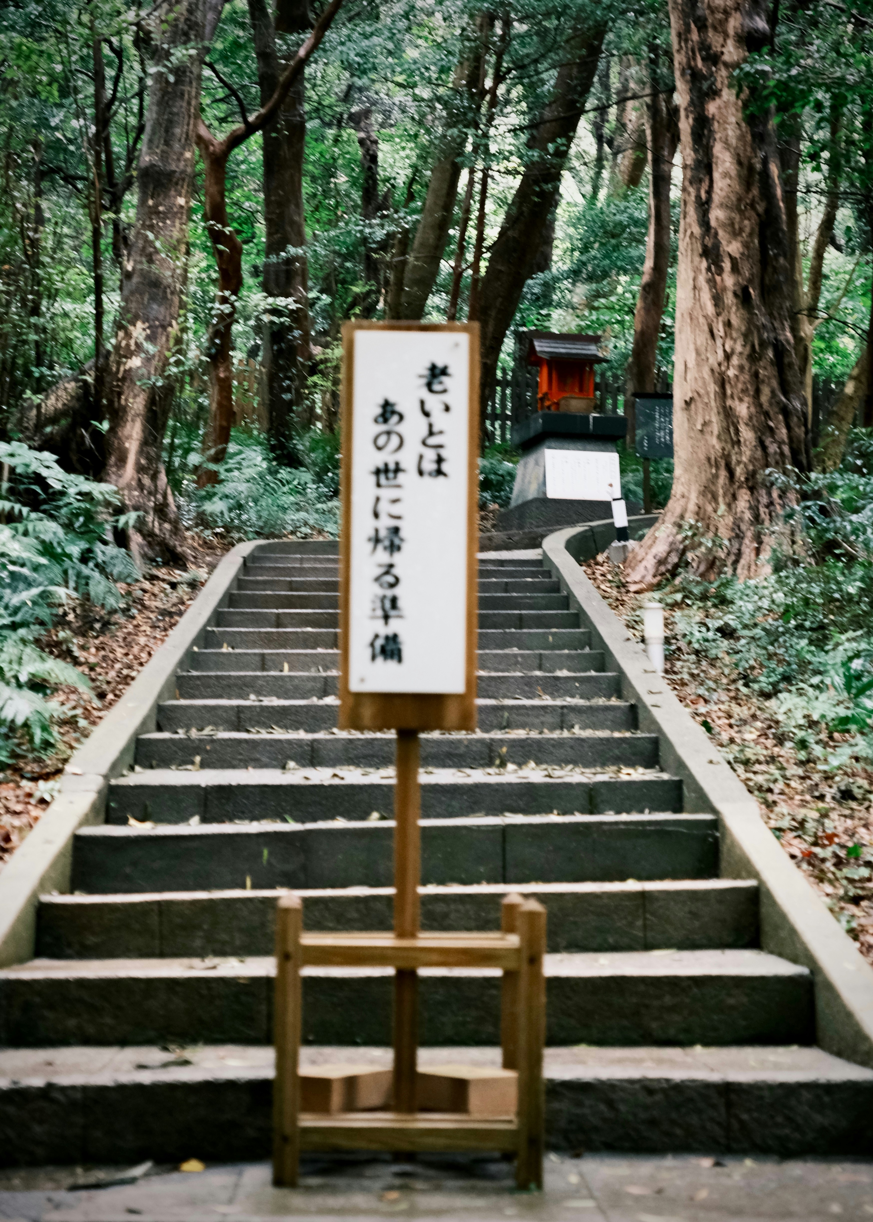 Stairway leading to a temple in a japanese forest.